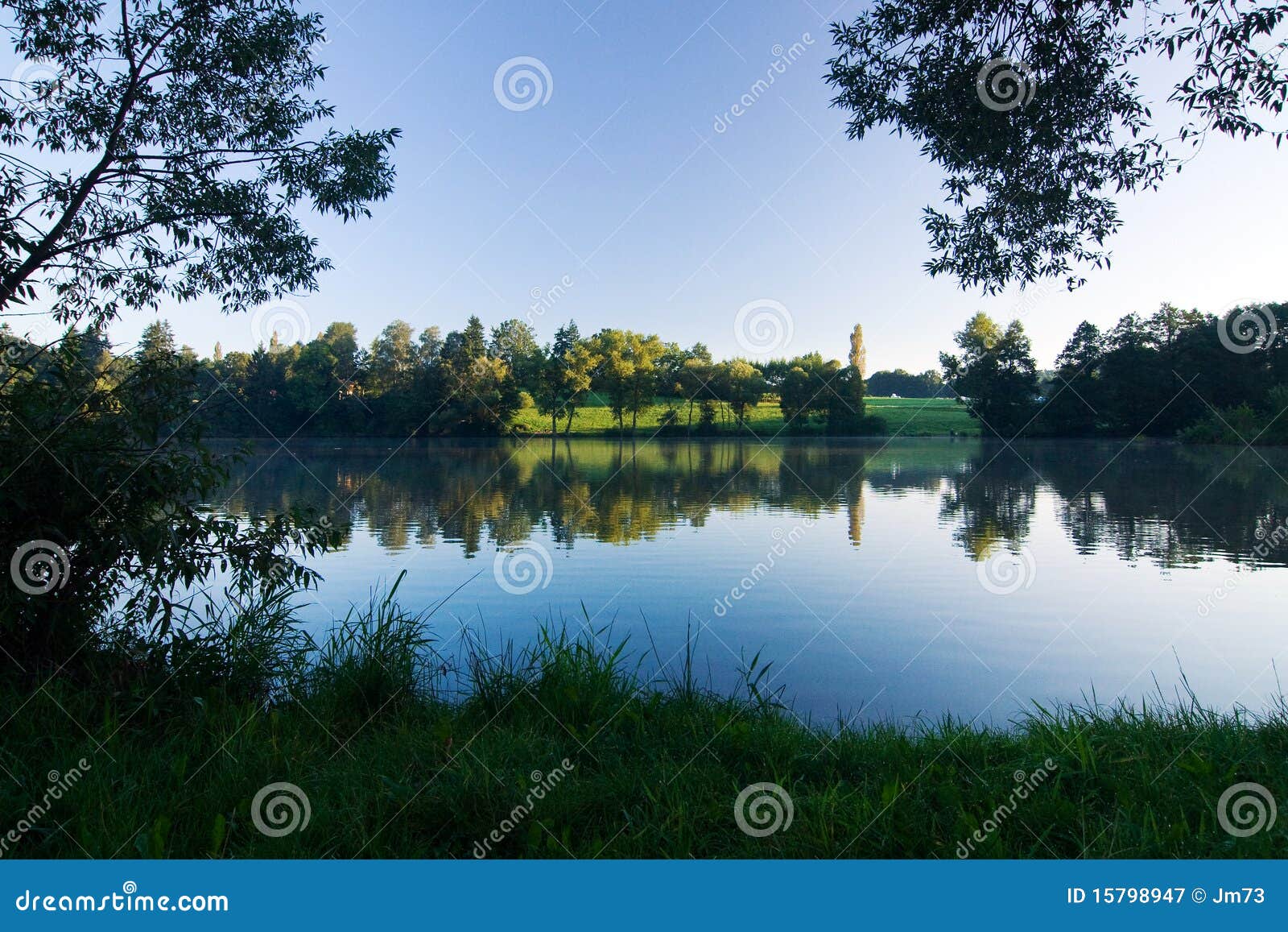 Morning at the pond stock image. Image of rural, green - 15798947