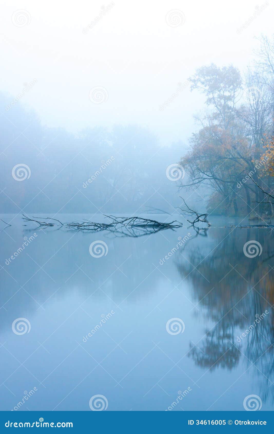 Morning at the pond stock image. Image of rising, leaves - 34616005