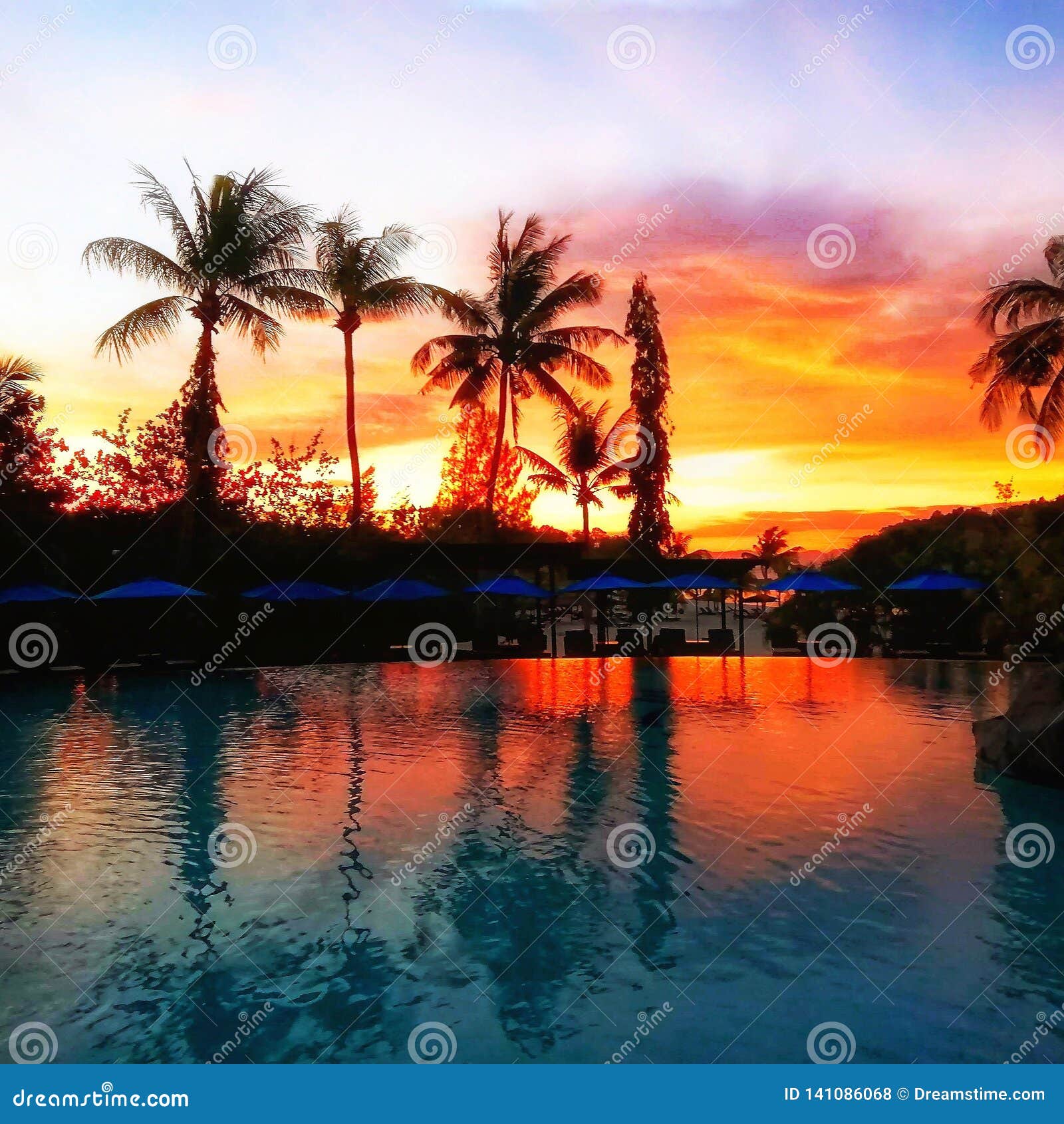 Morning at pool stock photo. Image of pool, honor, lite - 141086068