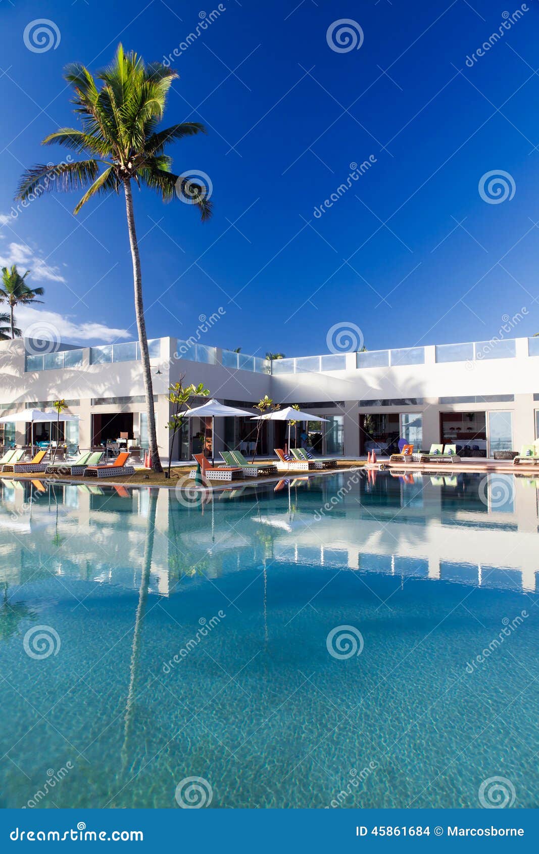 Morning at the Pool stock photo. Image of parasol, pool - 45861684
