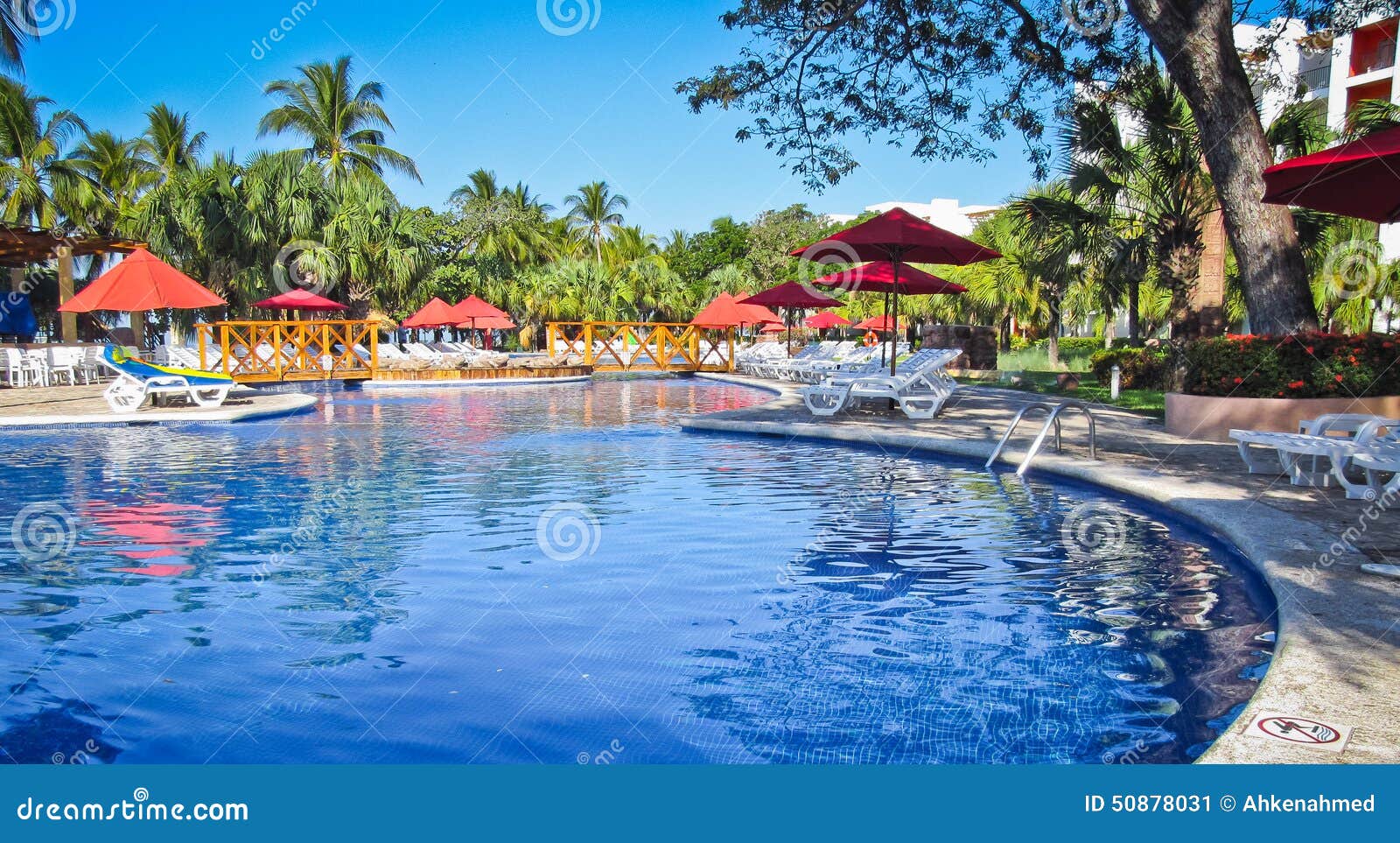 Morning Poolside in El Salvador. Stock Image - Image of clear, private ...
