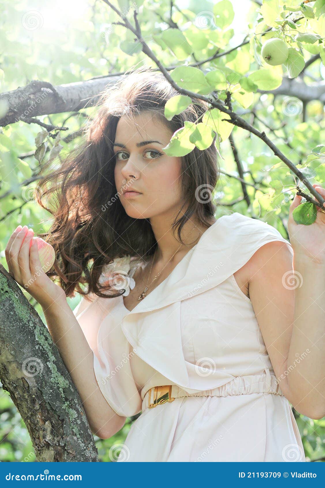 Morning Purity of Gorgeous Woman Stock Image - Image of evening, cute ...