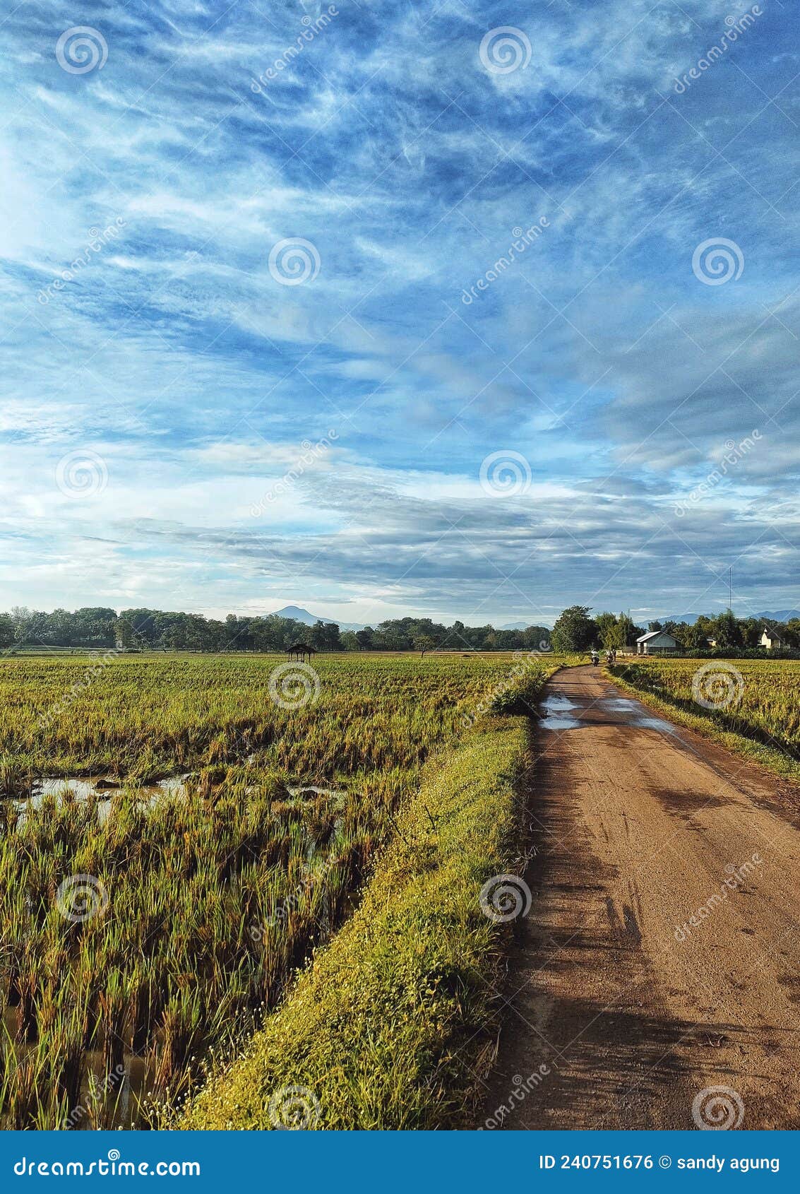 Morning after rain stock photo. Image of cloud, plain - 240751676