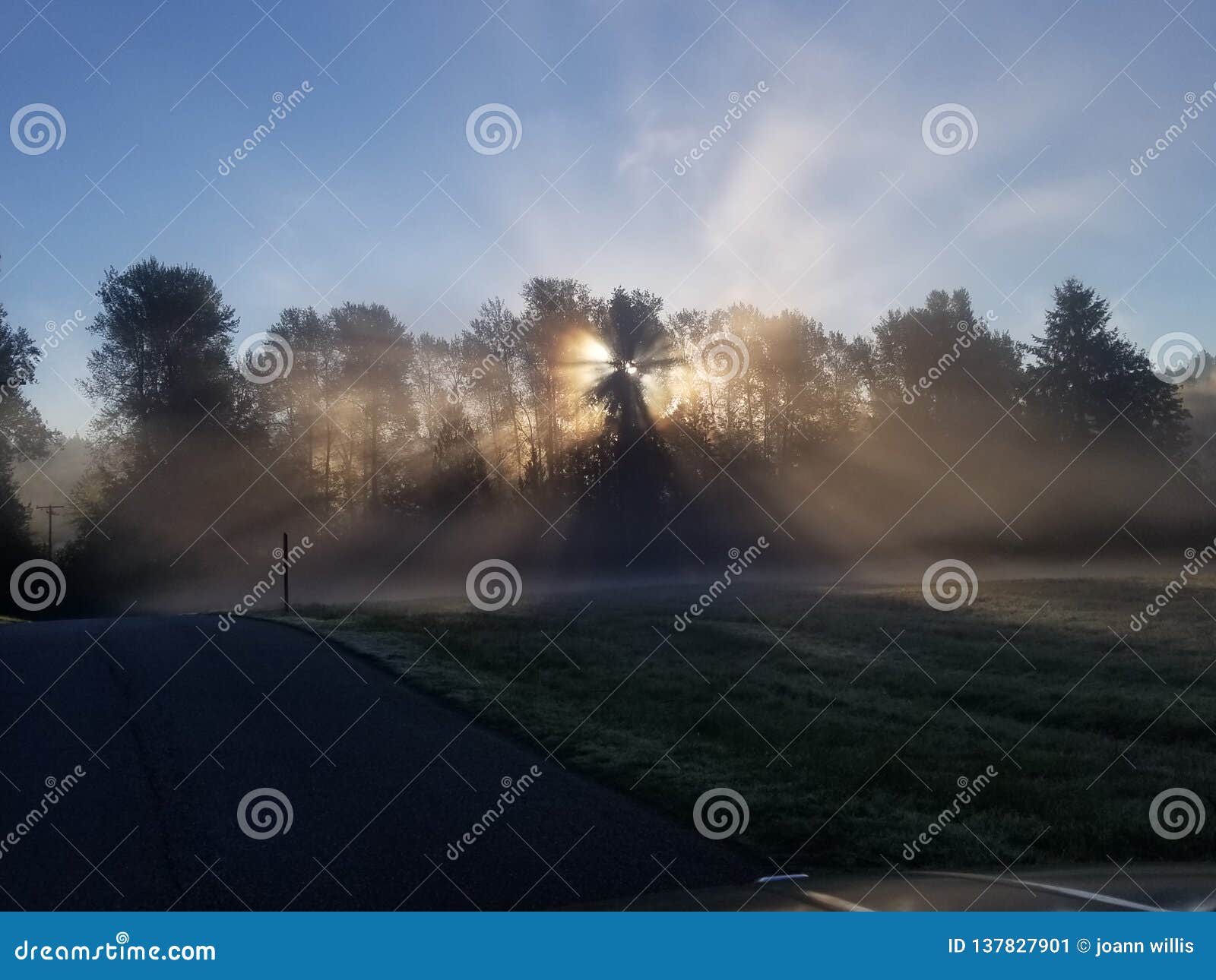 Morning rays stock image. Image of rays, early, morning - 137827901