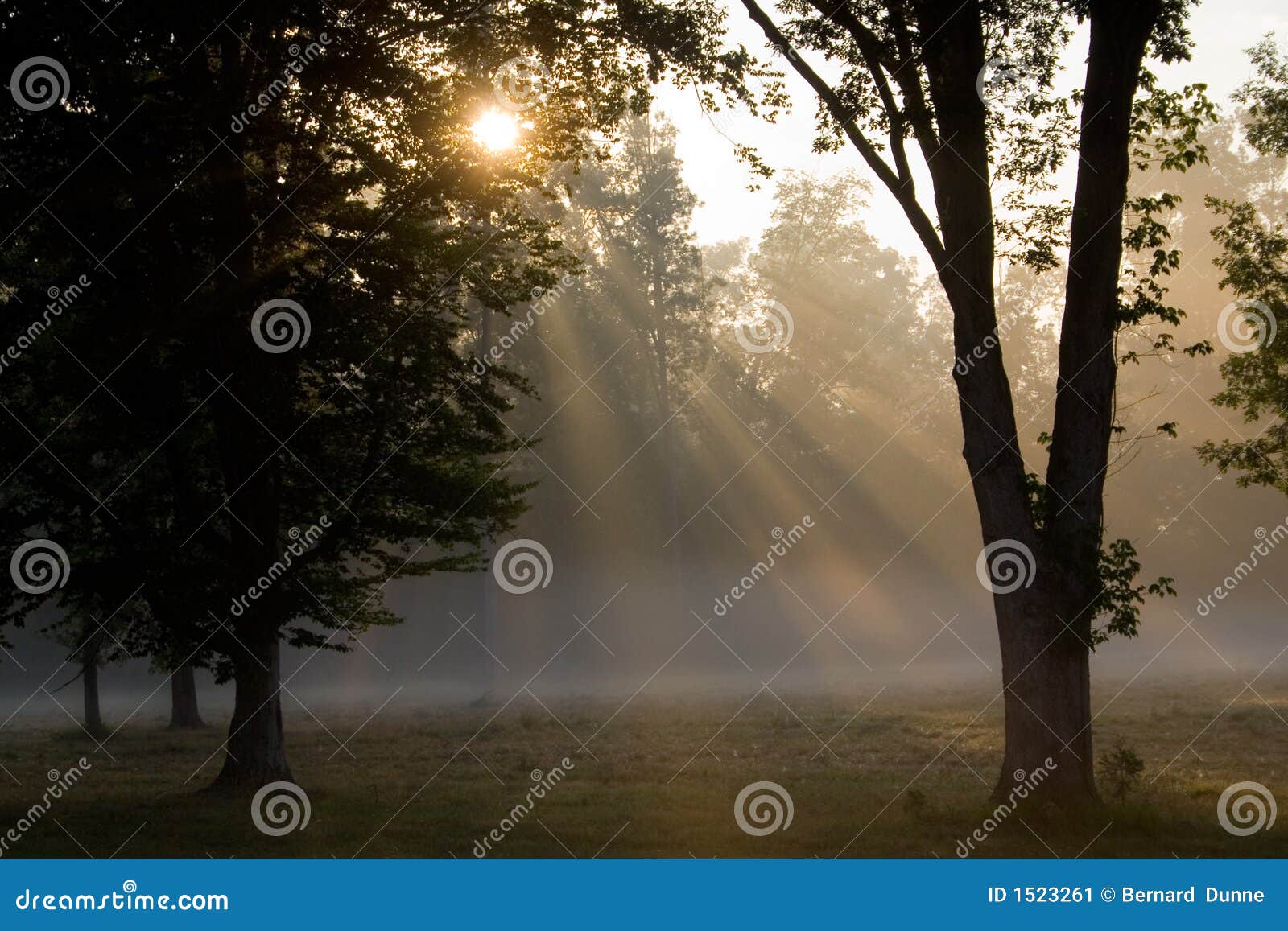 Morning Rays and Trees stock image. Image of clouds, sunset - 1523261