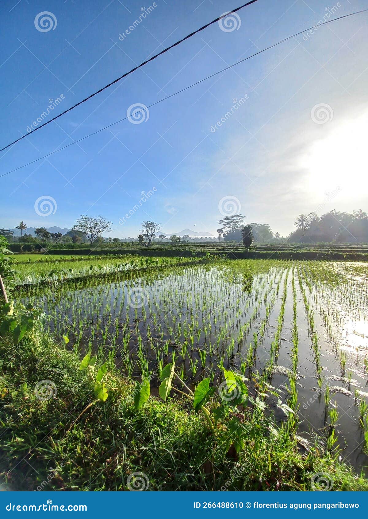 Garum Village Stock Photos - Free & Royalty-Free Stock Photos from ...