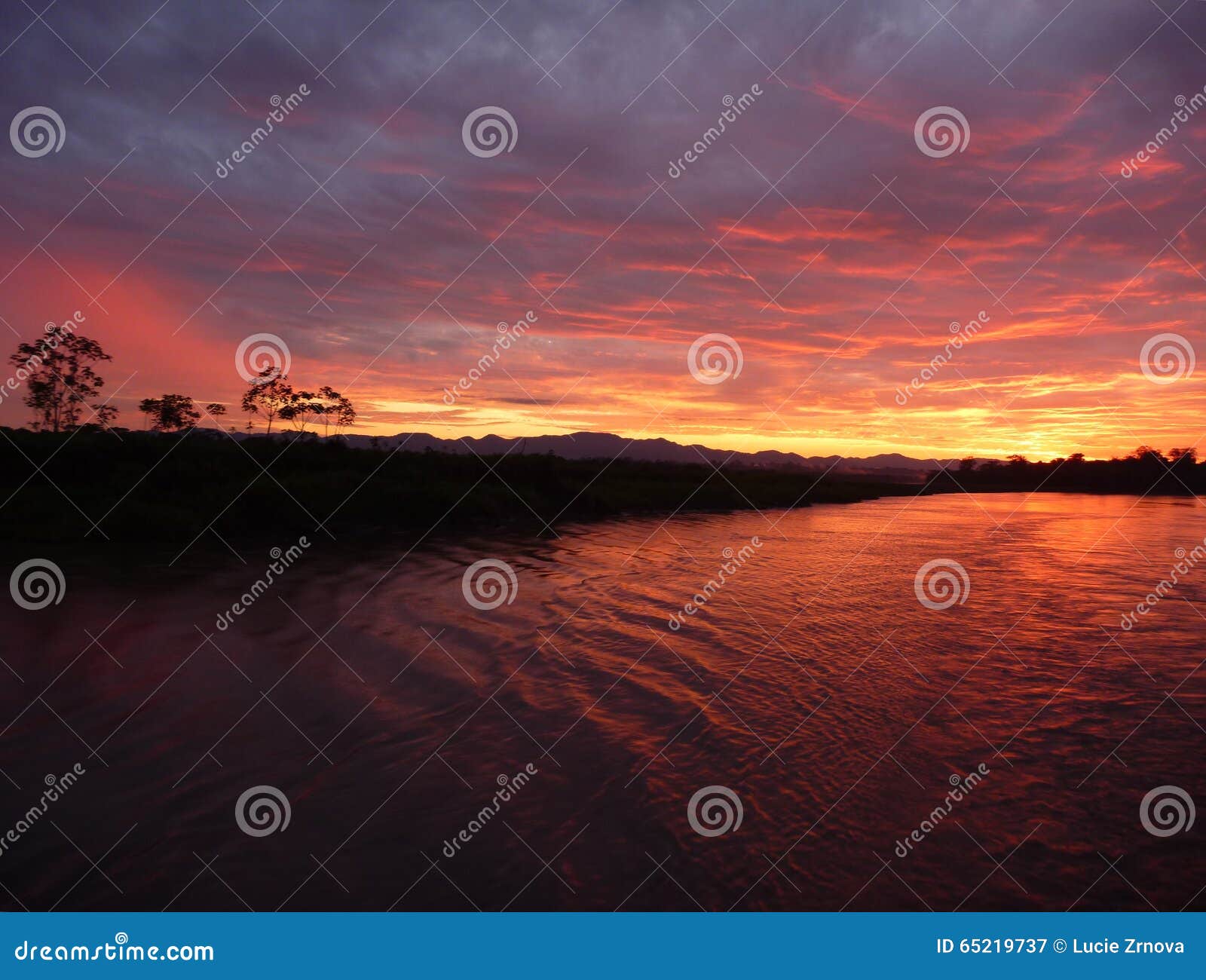 Morning at the Rio Amazonas Stock Image - Image of america ...