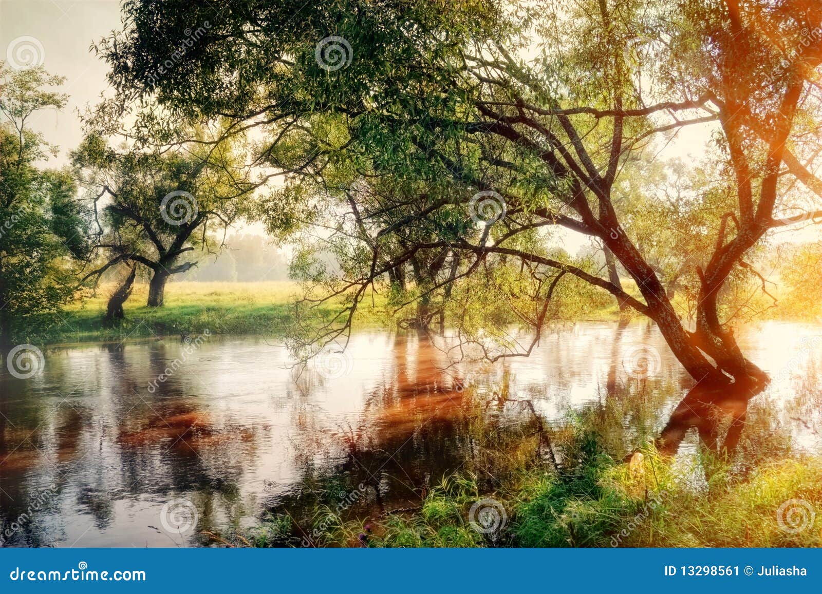 Morning river stock image. Image of golden, birch, field - 13298561