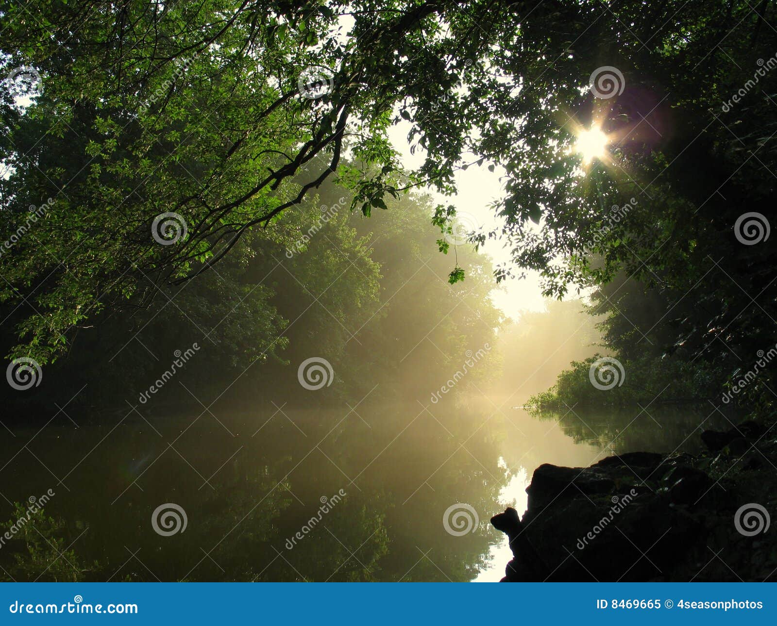 Morning on the River stock image. Image of shine, river - 8469665