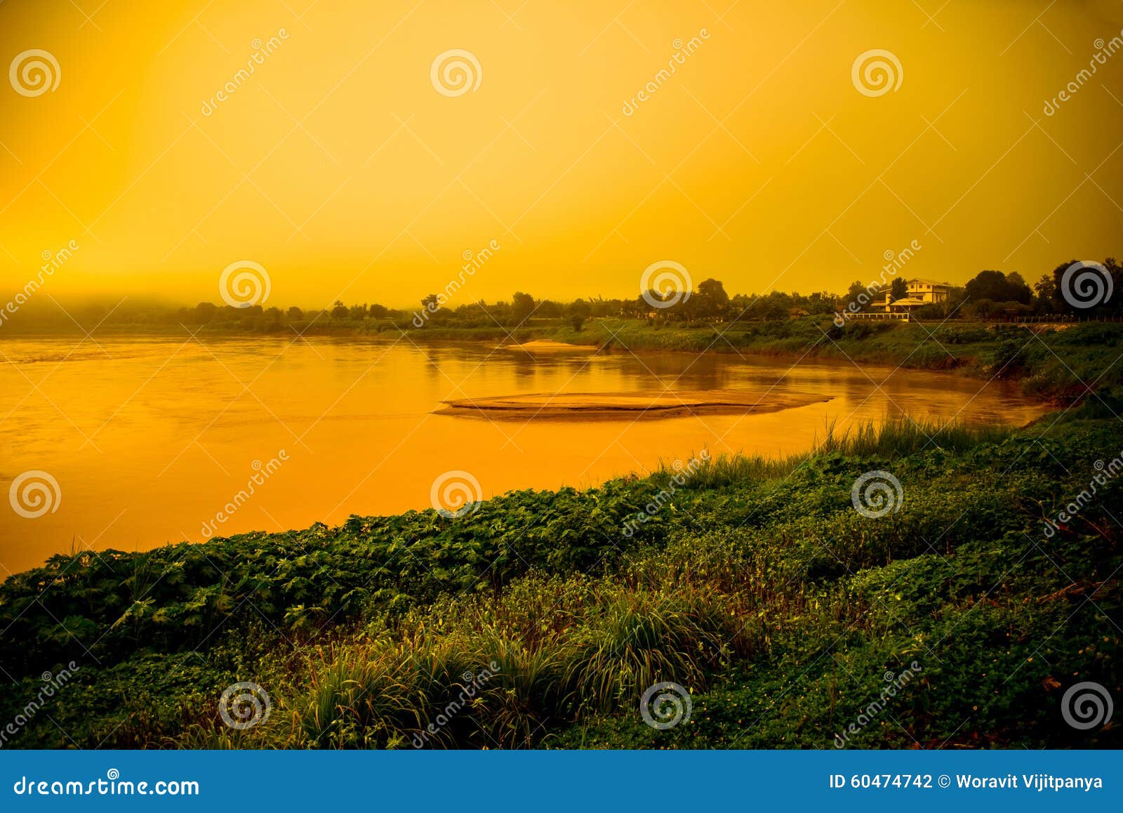 Morning river with fog stock photo. Image of light, autumn - 60474742