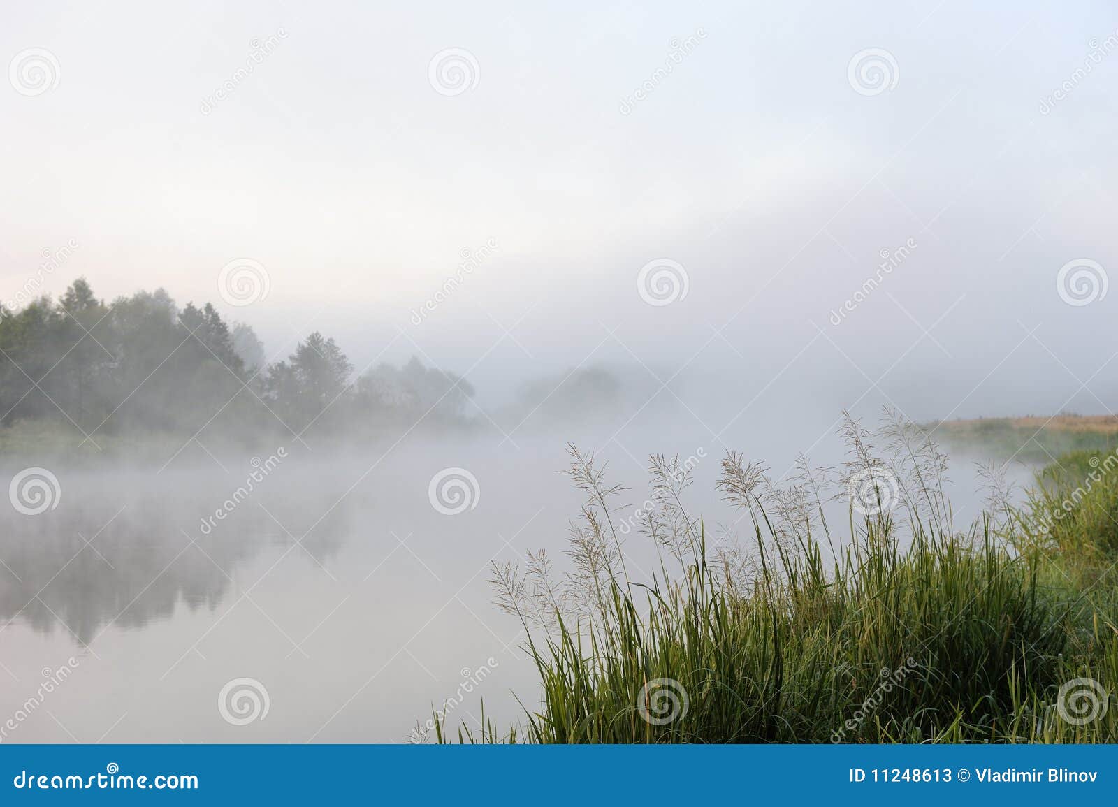 Morning river mist stock image. Image of riverside, grass - 11248613
