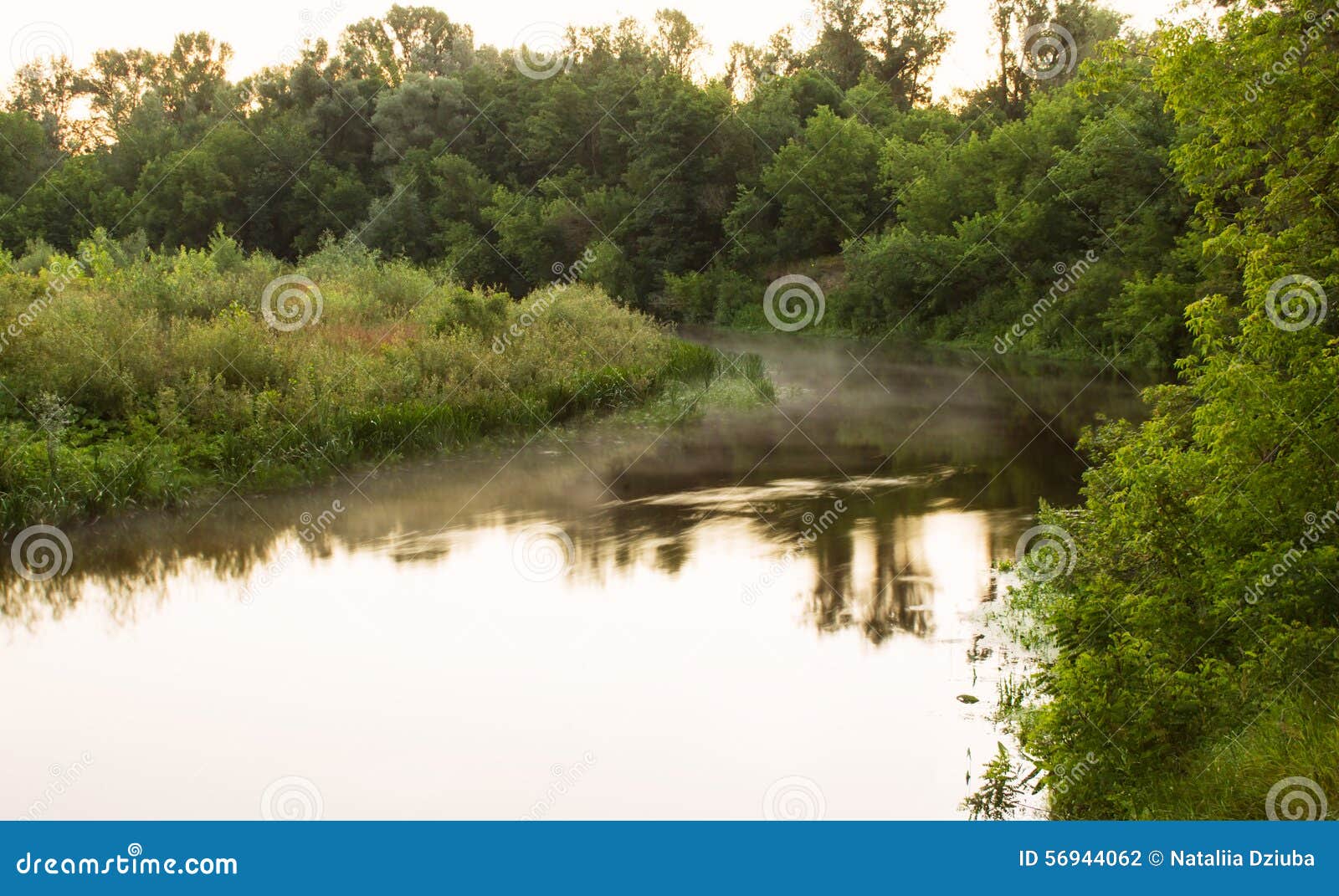 Morning on the river stock photo. Image of pond, tranquil - 56944062