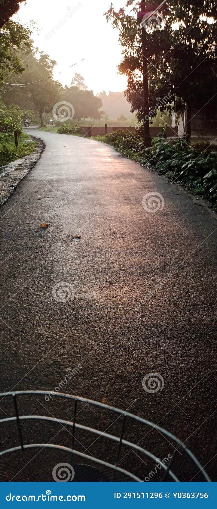 Morning road picture stock photo. Image of sunlight - 291511296