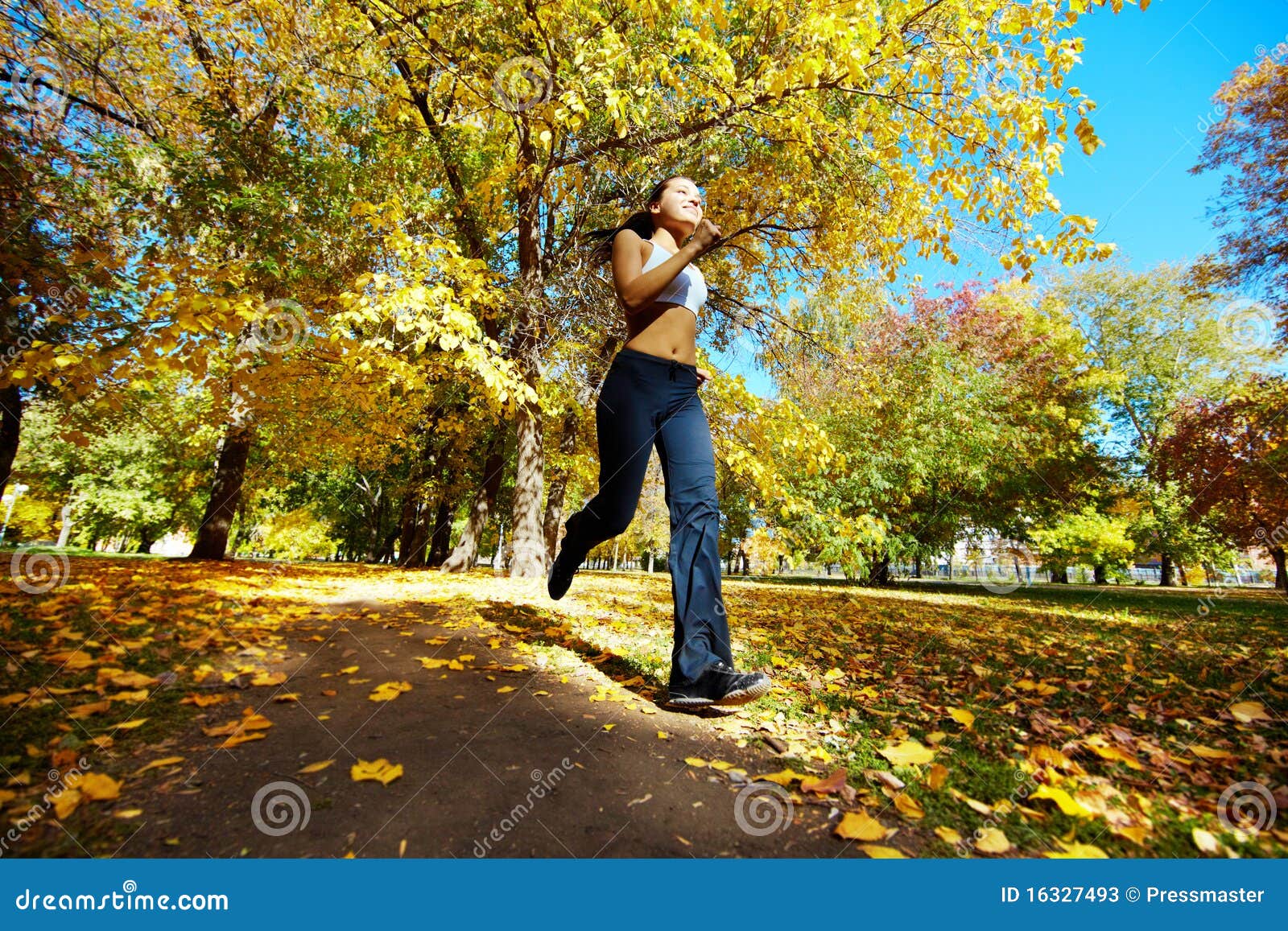 Morning run stock image. Image of motion, energetic, lifestyle - 16327493