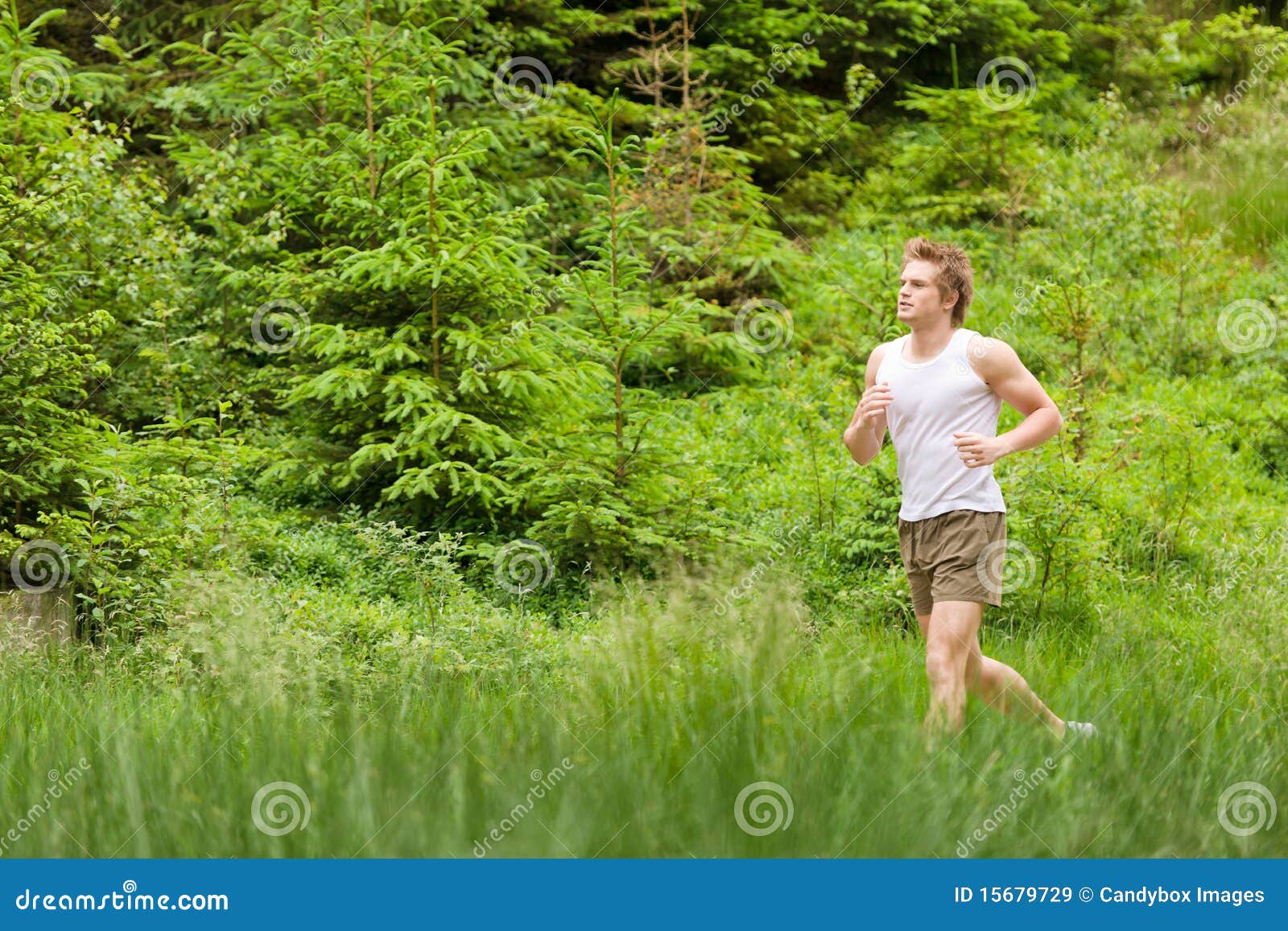 Morning Run: Young Man Jogging in Nature Stock Image - Image of alone ...