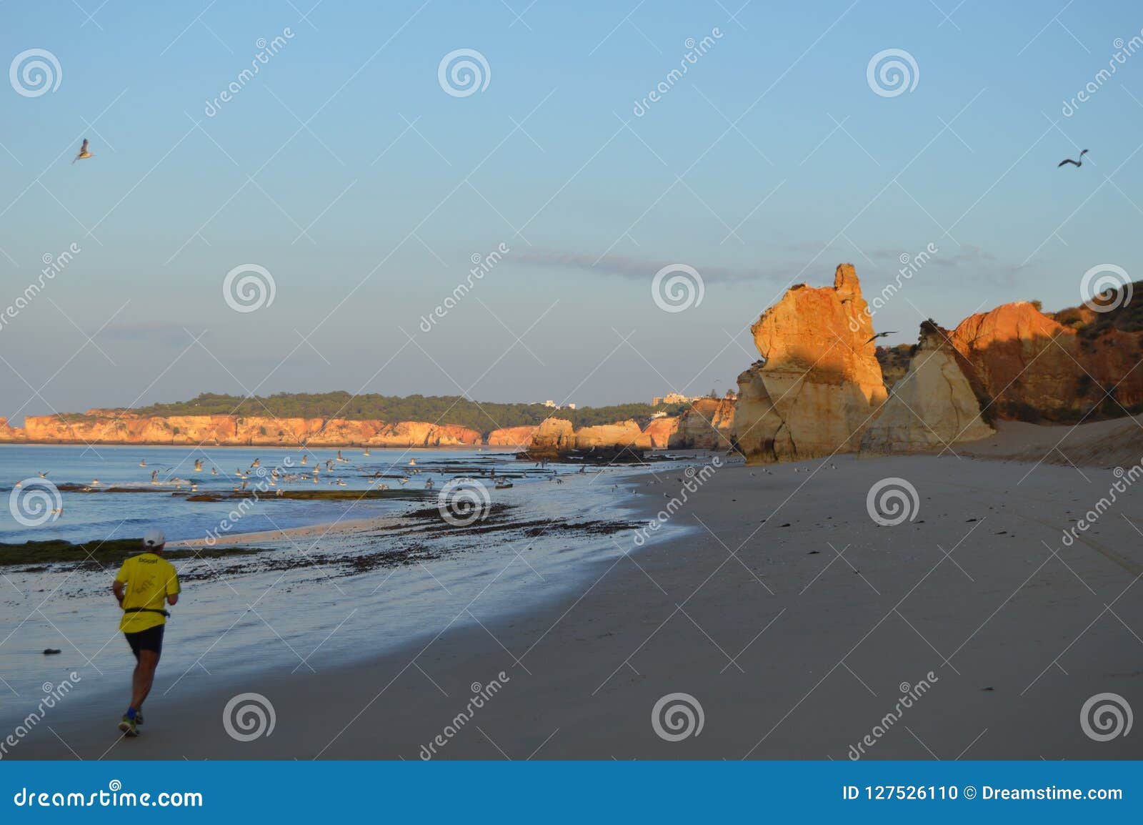 Morning runner editorial image. Image of morning, ocean - 127526110