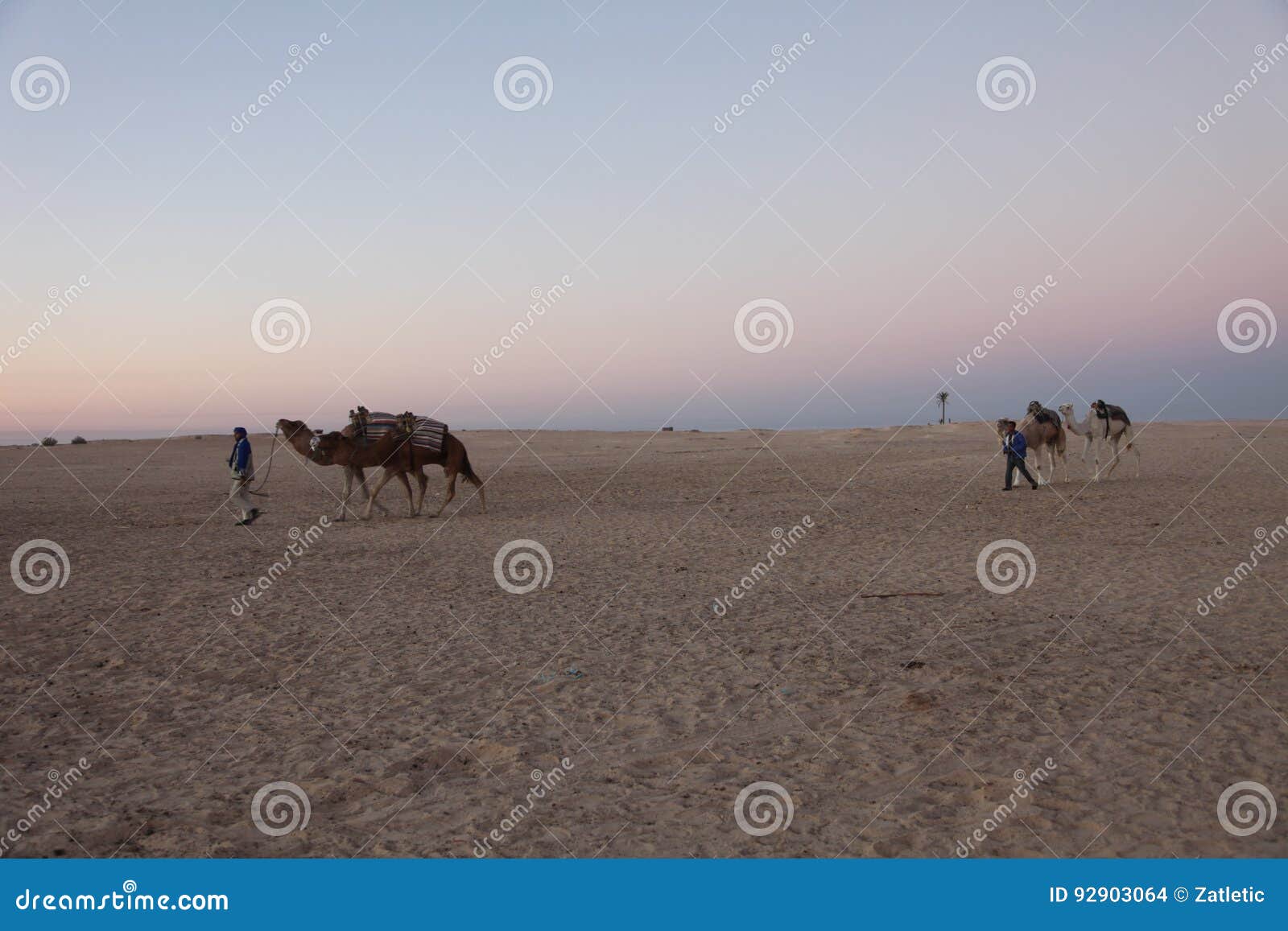 Morning in Sahara desert editorial stock image. Image of powder - 92903064