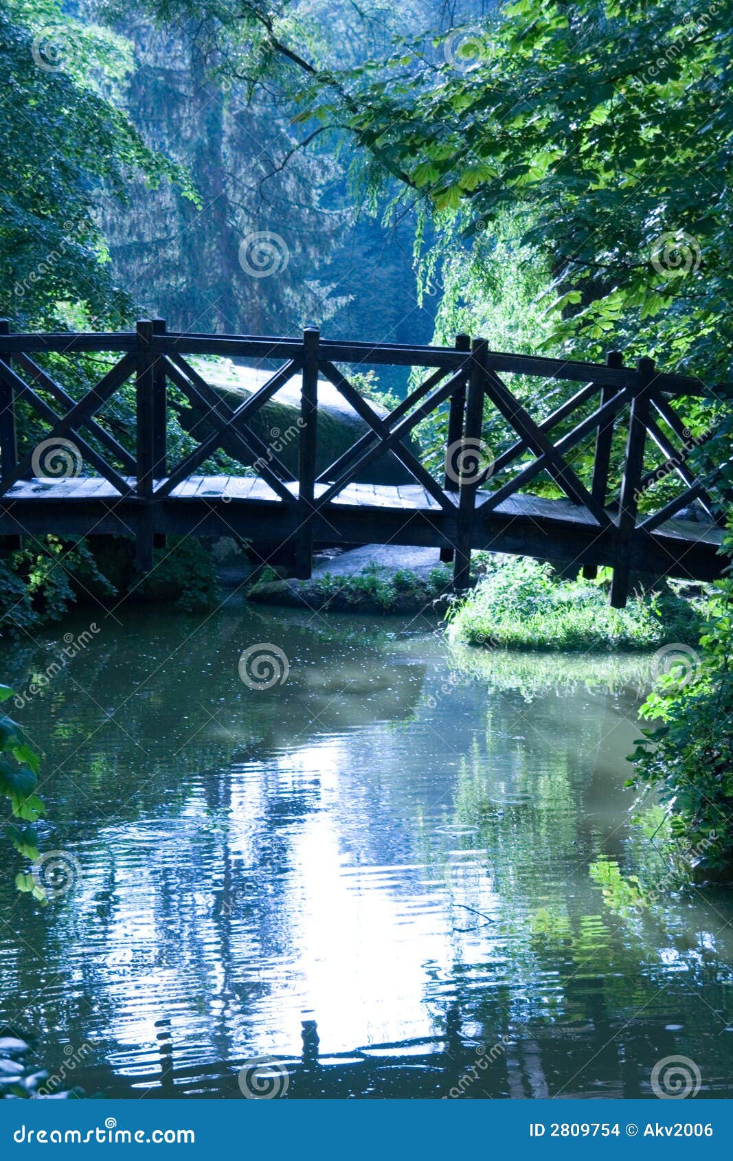 Morning scene stock photo. Image of greens, bridge, forest - 2809754