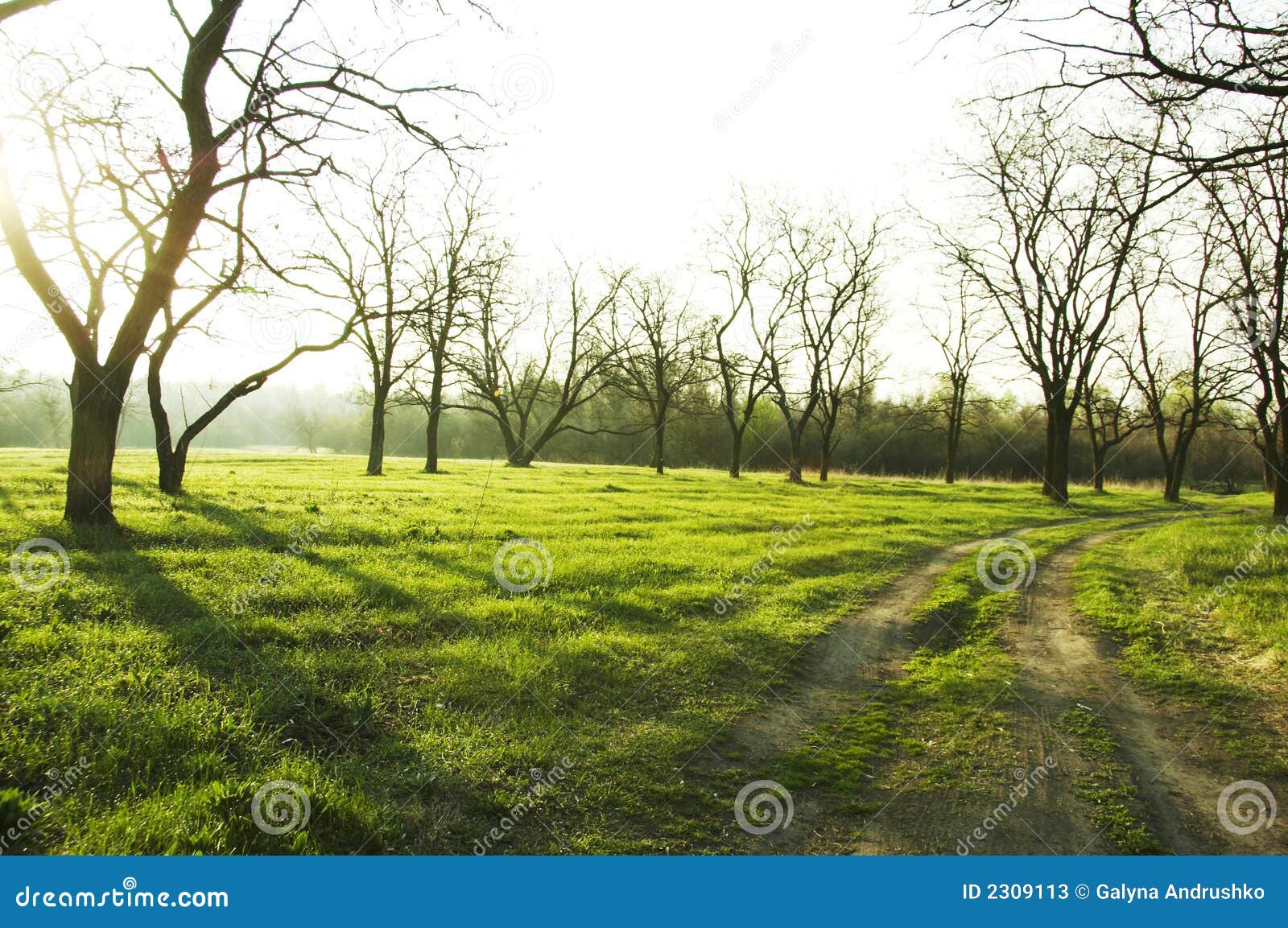 Morning scenery stock image. Image of harmony, countryside - 2309113