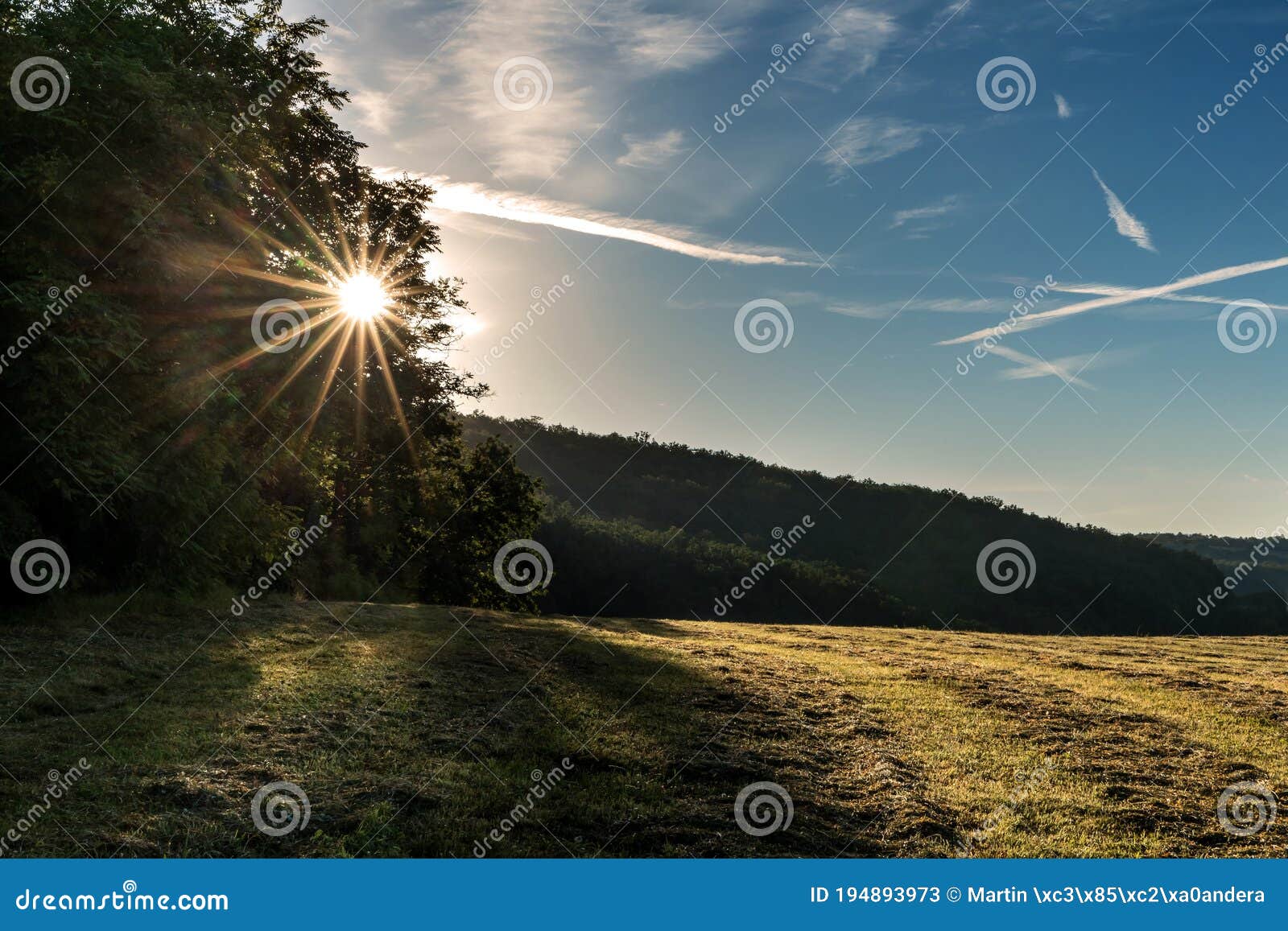Morning Scenery in a Forest, with the Sun Casting Beautiful Rays of ...