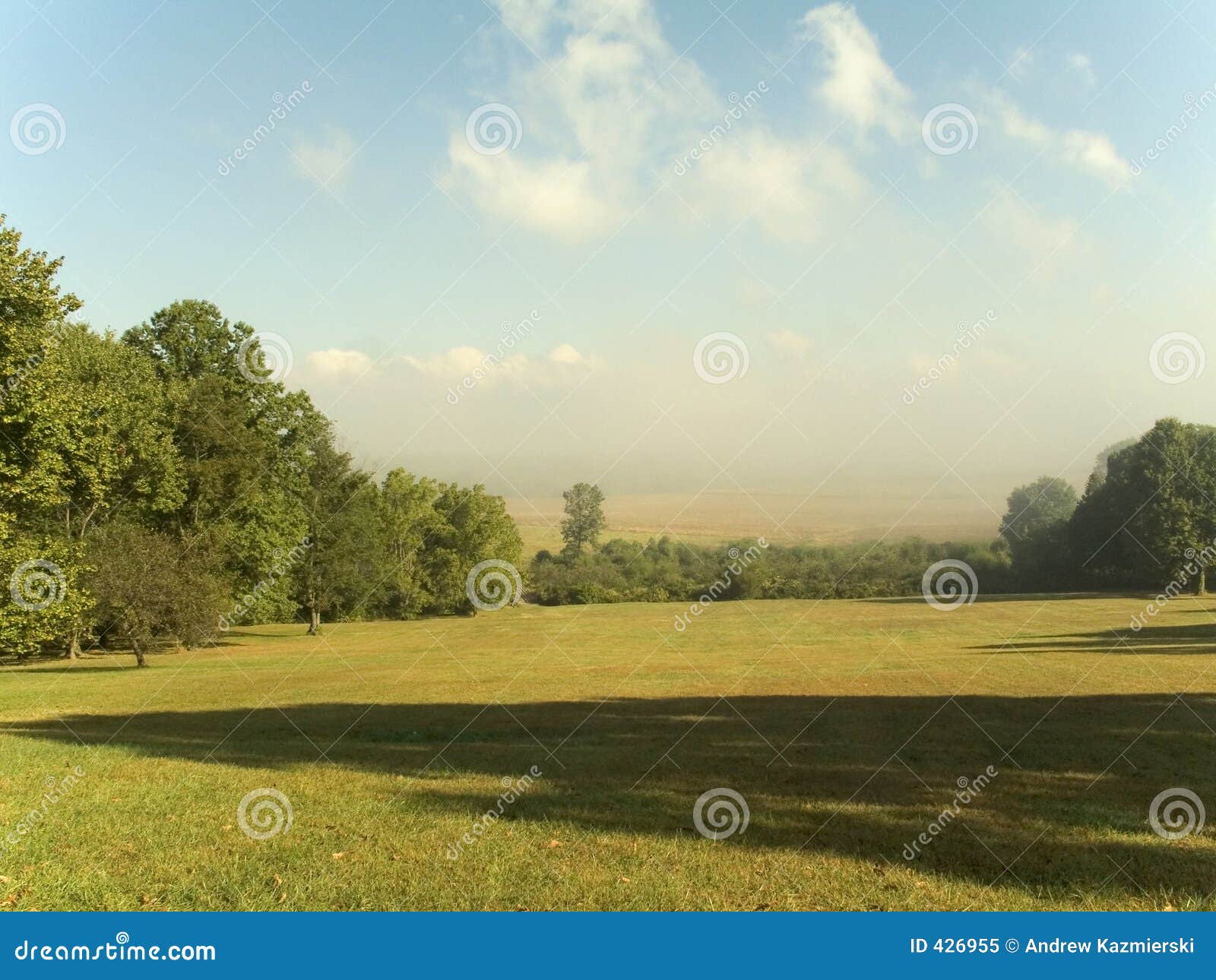 Morning Shadow stock image. Image of woods, shadows, hill - 426955