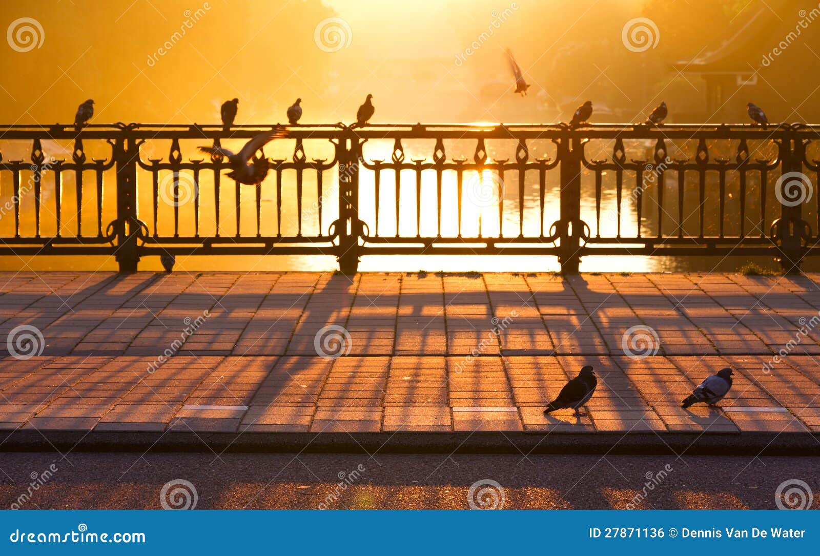 Morning shadows stock photo. Image of sitting, calm, outdoor - 27871136