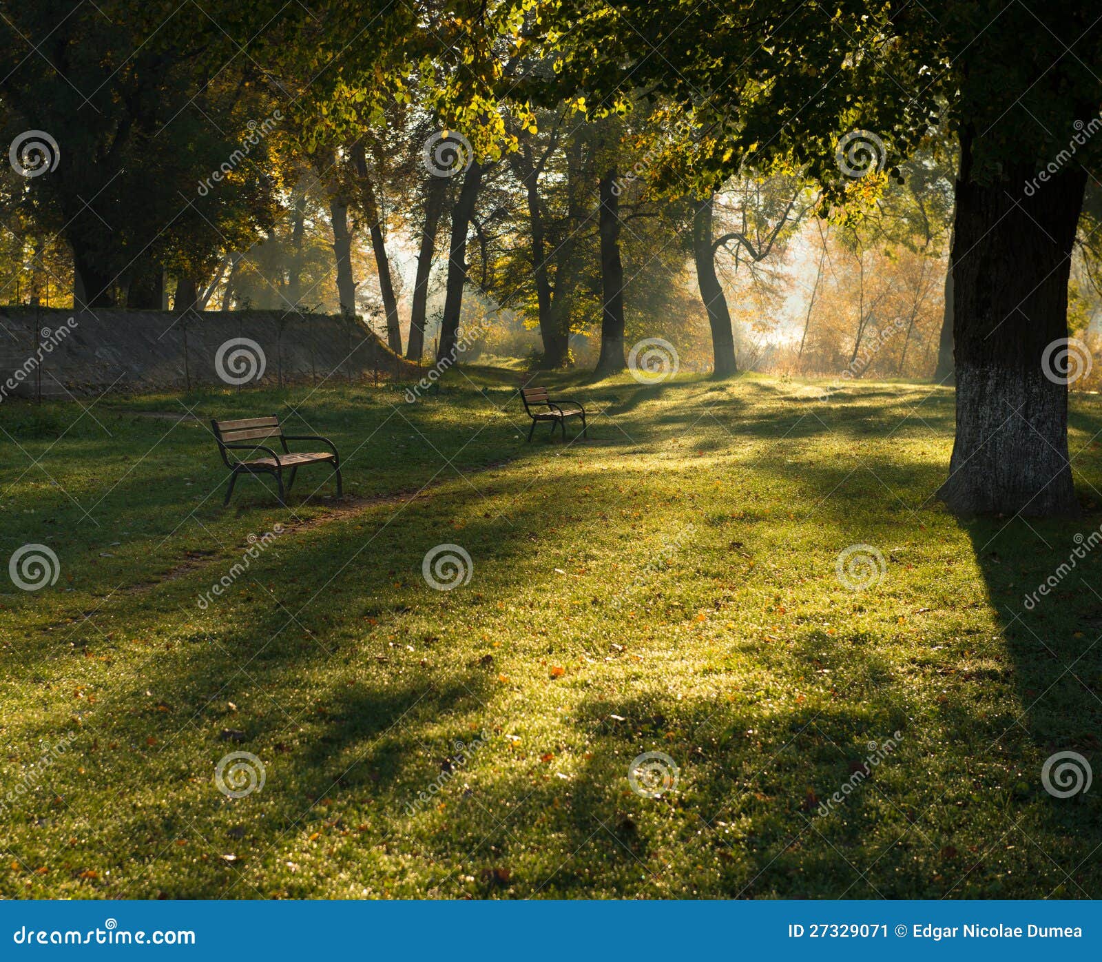 Morning Shadows Over Green Grass in a Park Stock Image - Image of ...