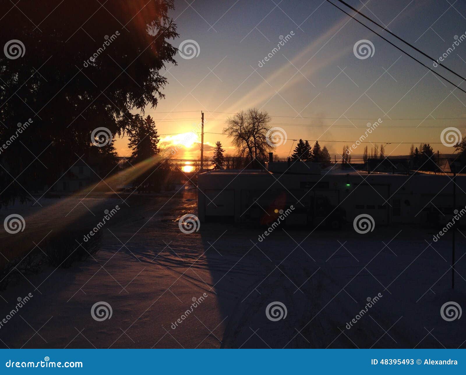 Didint Stock Photos - Free & Royalty-Free Stock Photos from Dreamstime