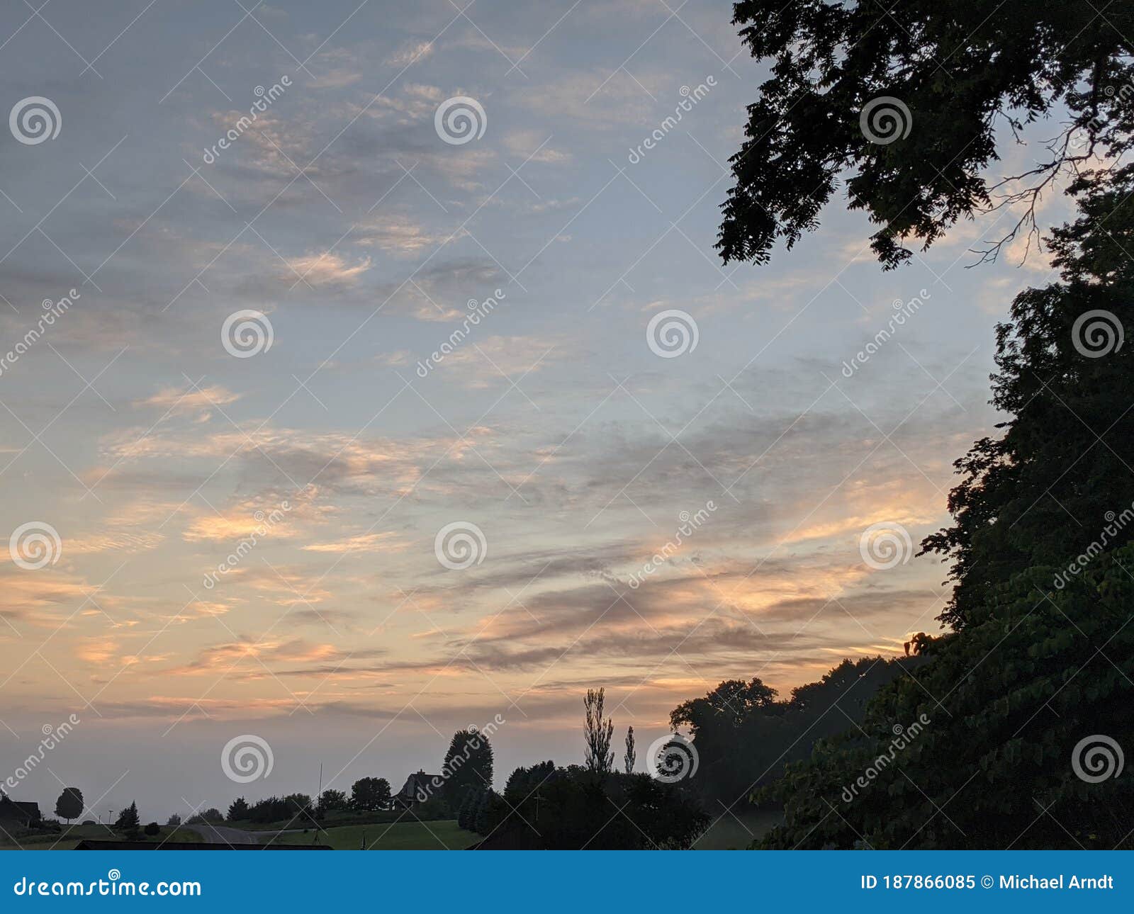 Morning Sky Framed by Trees Stock Image - Image of framed, skyline ...
