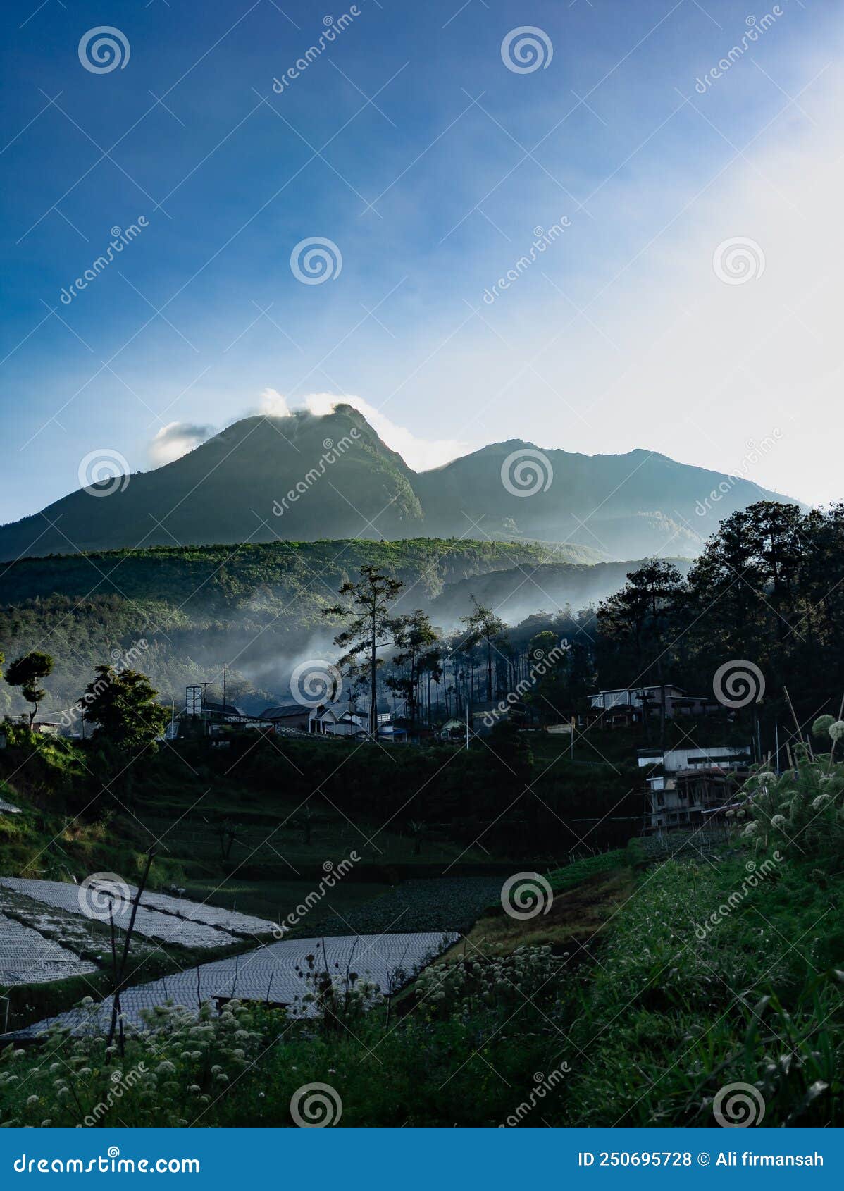 Morning on the Slopes of Mount Lawu Stock Photo - Image of sunlight ...