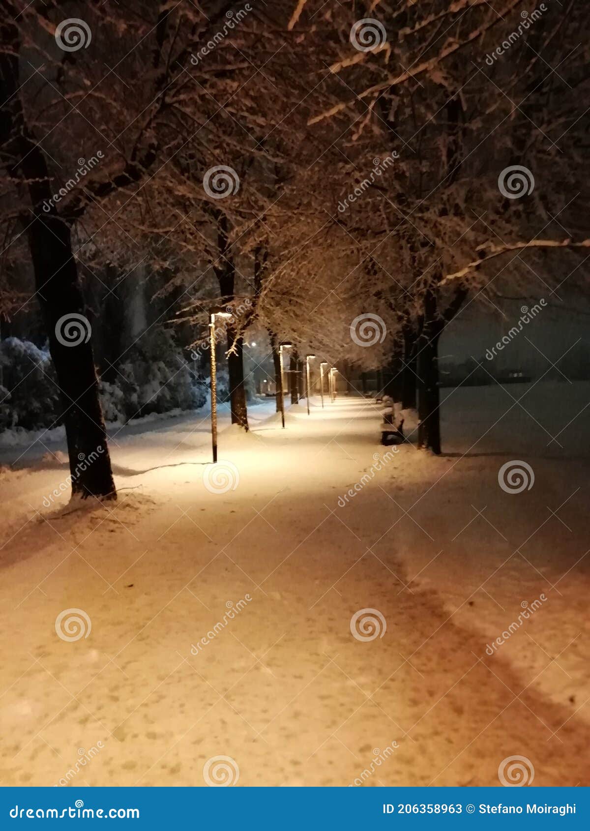 Morning in the snow stock image. Image of blizzard, morning - 206358963