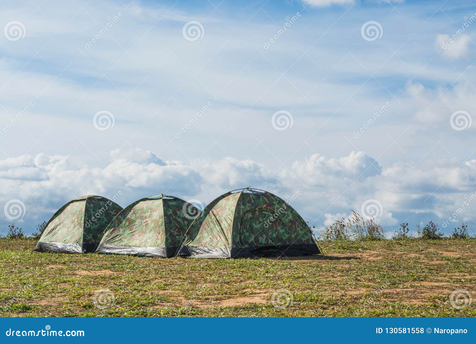 Morning Spring Camping and Tent in Landscape, Mountain Forest Stock ...