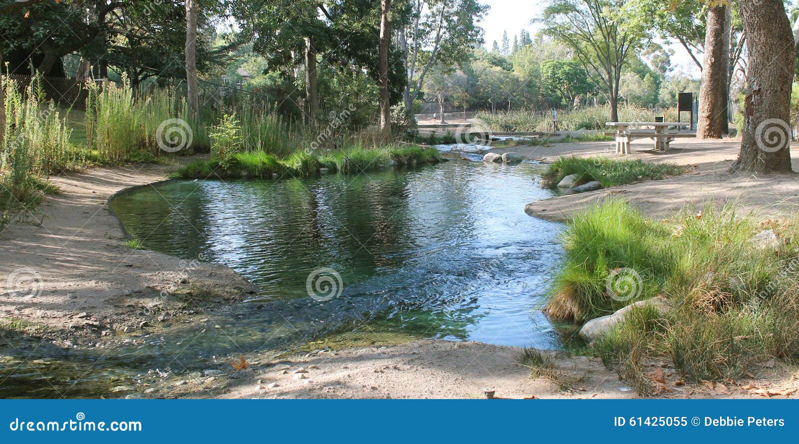 Morning Stream at Laguna Lake Stock Image - Image of blue, early: 61425055