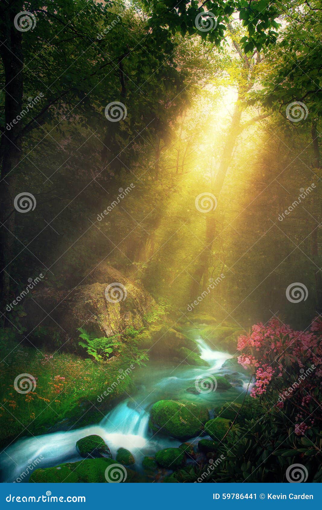 Morning Stream stock image. Image of creek, still, water - 59786441