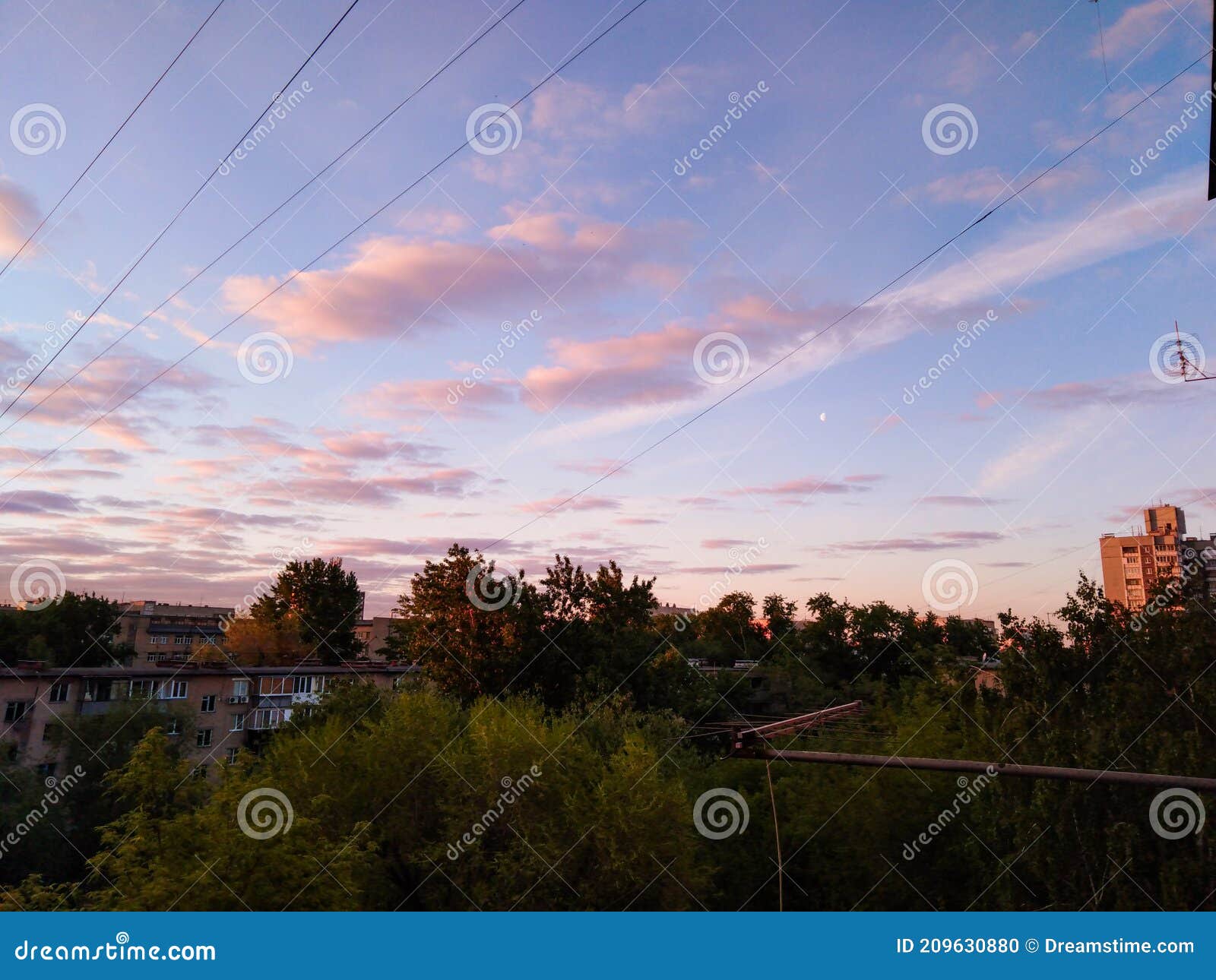Morning summer sky stock photo. Image of field, tree - 209630880