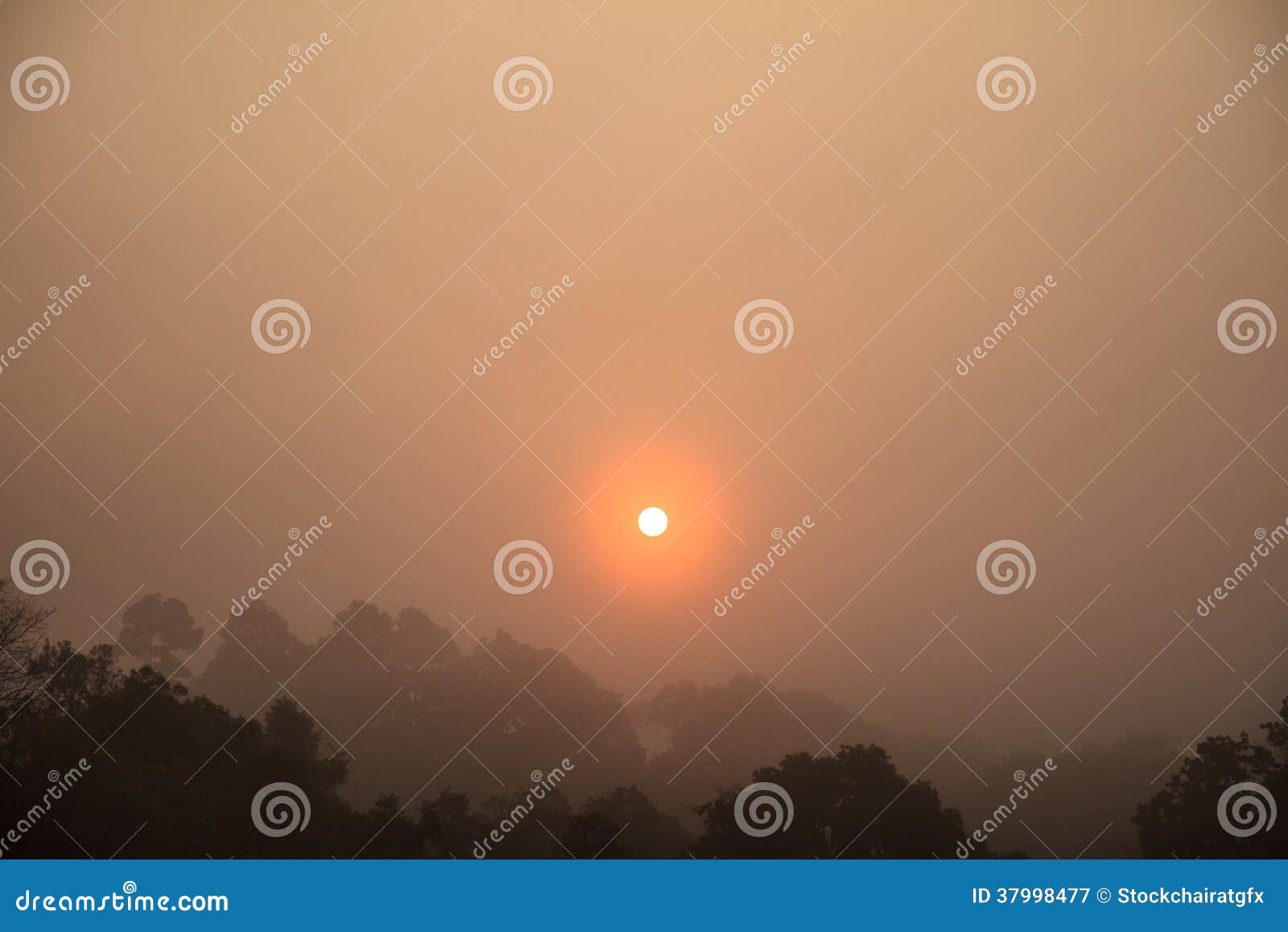 Morning sun stock image. Image of scenery, sunrise, beautiful - 37998477