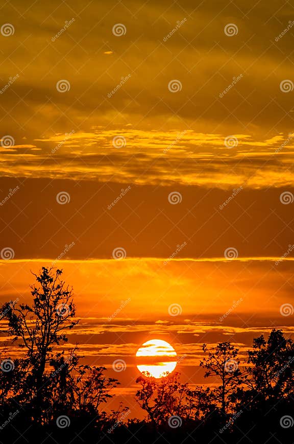 The morning sun stock image. Image of country, sunset - 48843695