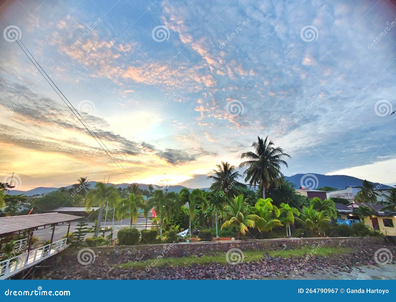 The Morning Sun that Illuminates Natural Life Stock Image - Image of ...