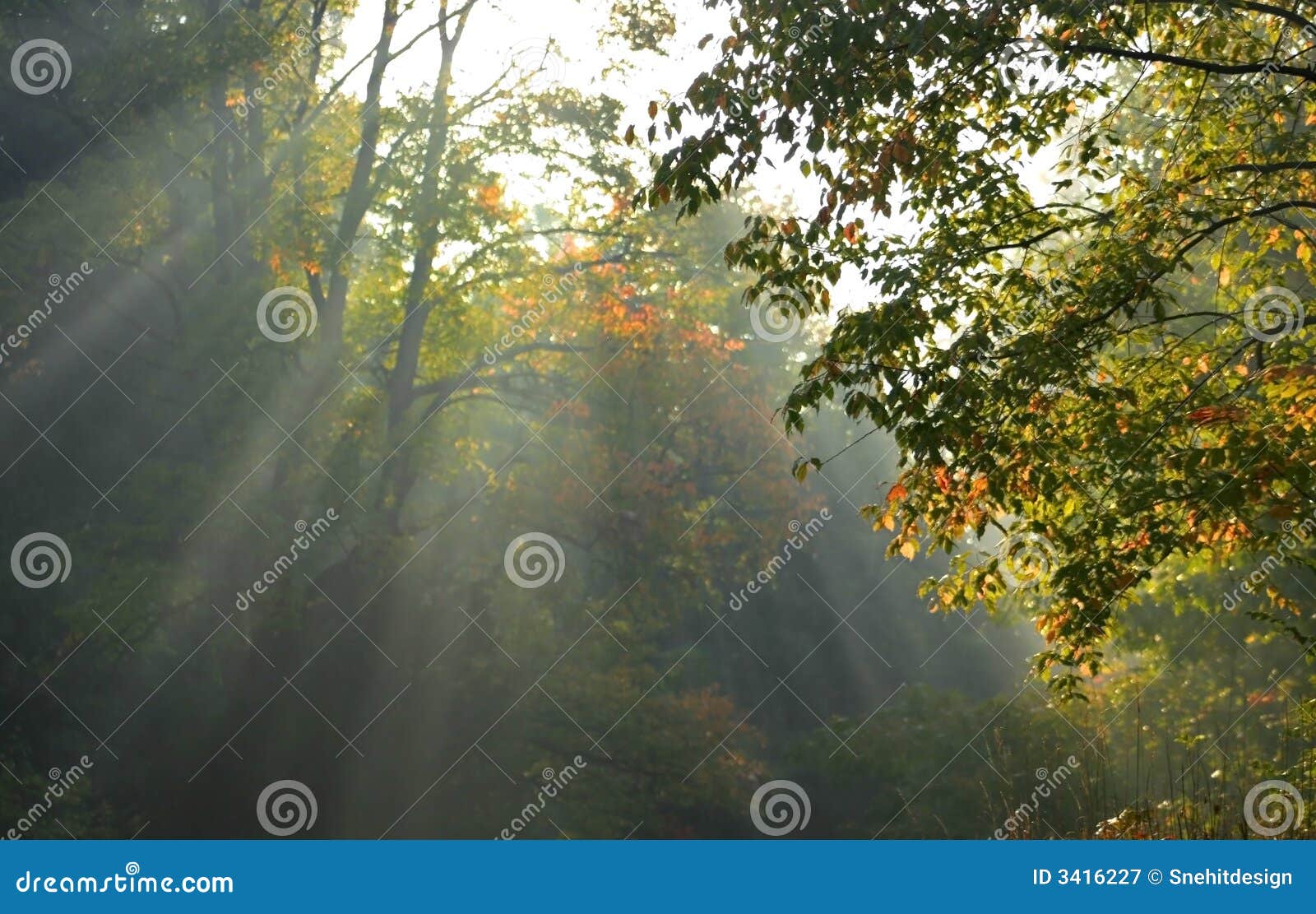 Morning sun light rays stock image. Image of sunrise, locking - 3416227