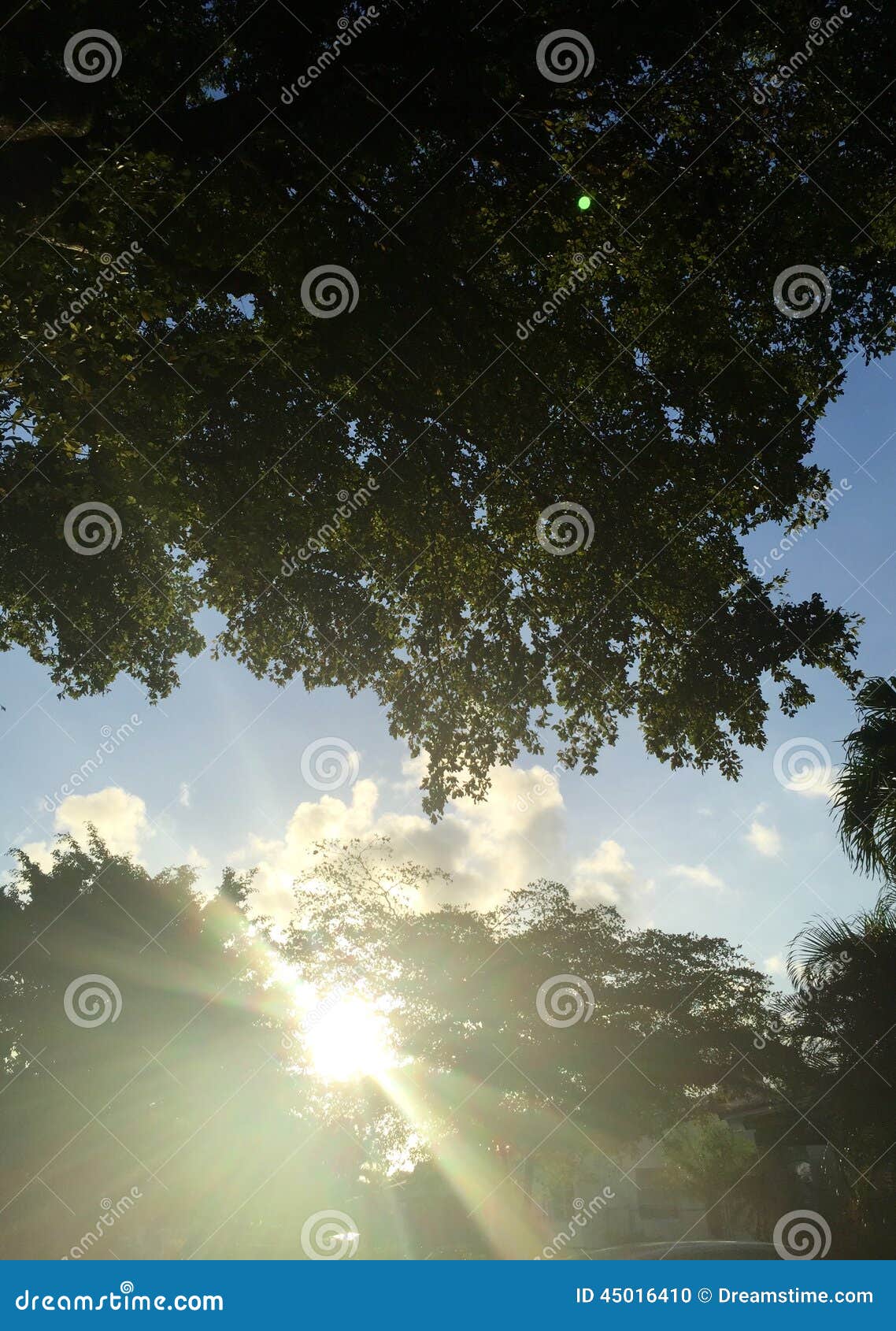 Morning sun stock photo. Image of beautiful, morning - 45016410