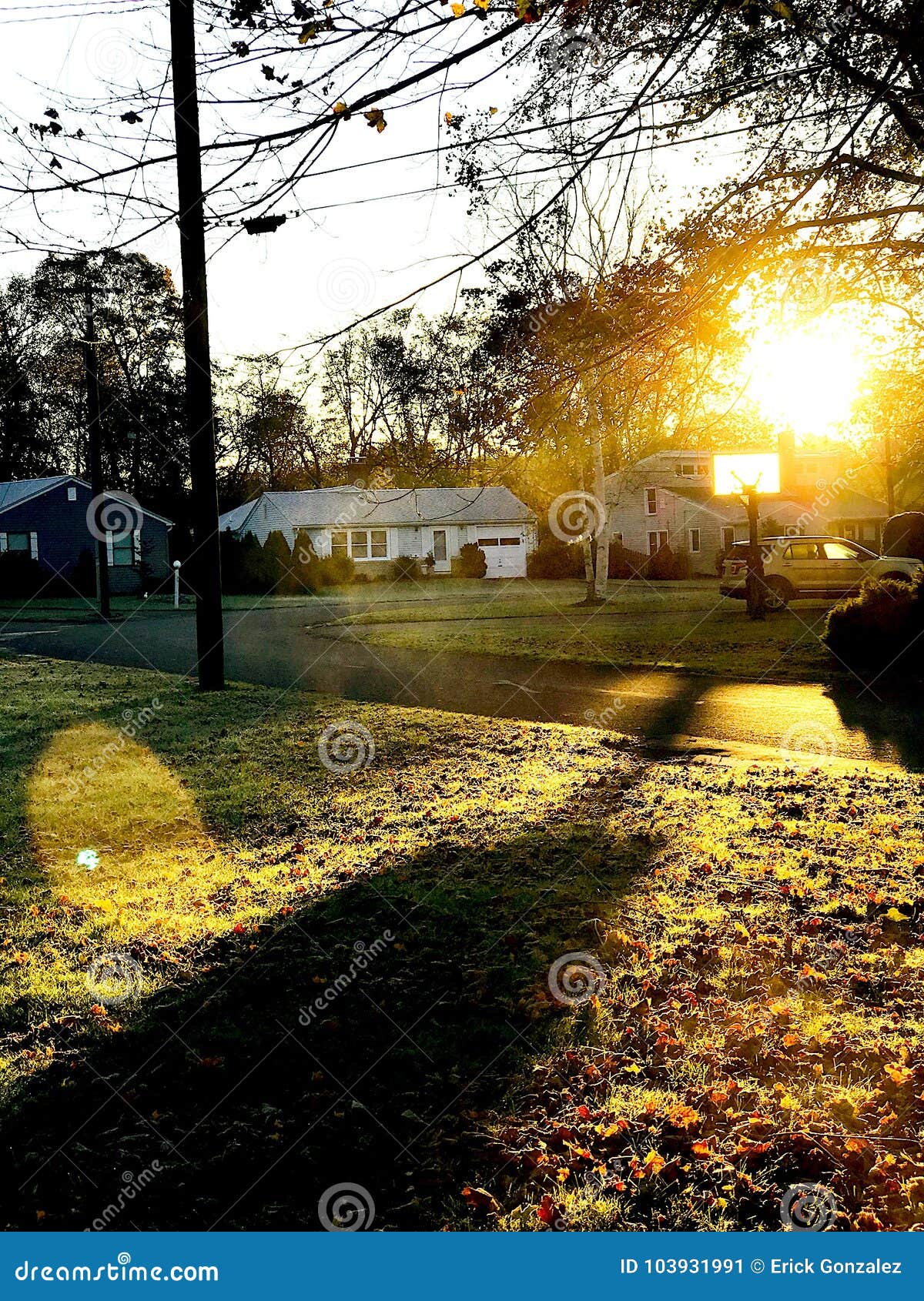 Morning sun stock image. Image of nature, morning, natural - 103931991