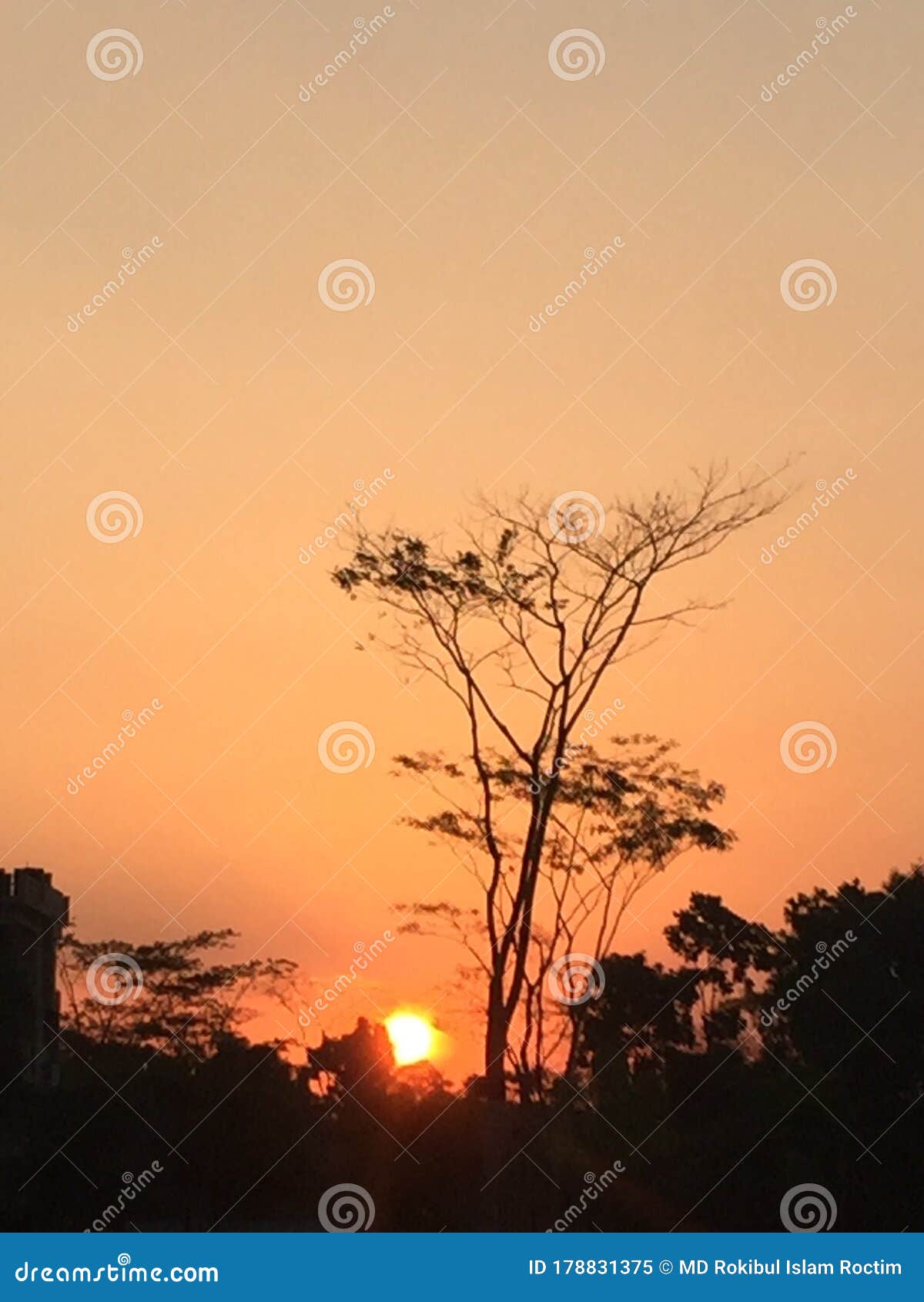 Morning sun stock image. Image of rain, morning, time - 178831375