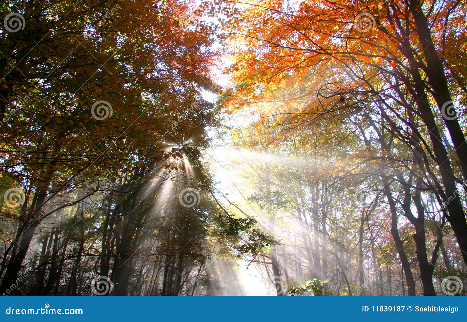 Morning sun rays stock image. Image of scene, moorland - 11039187