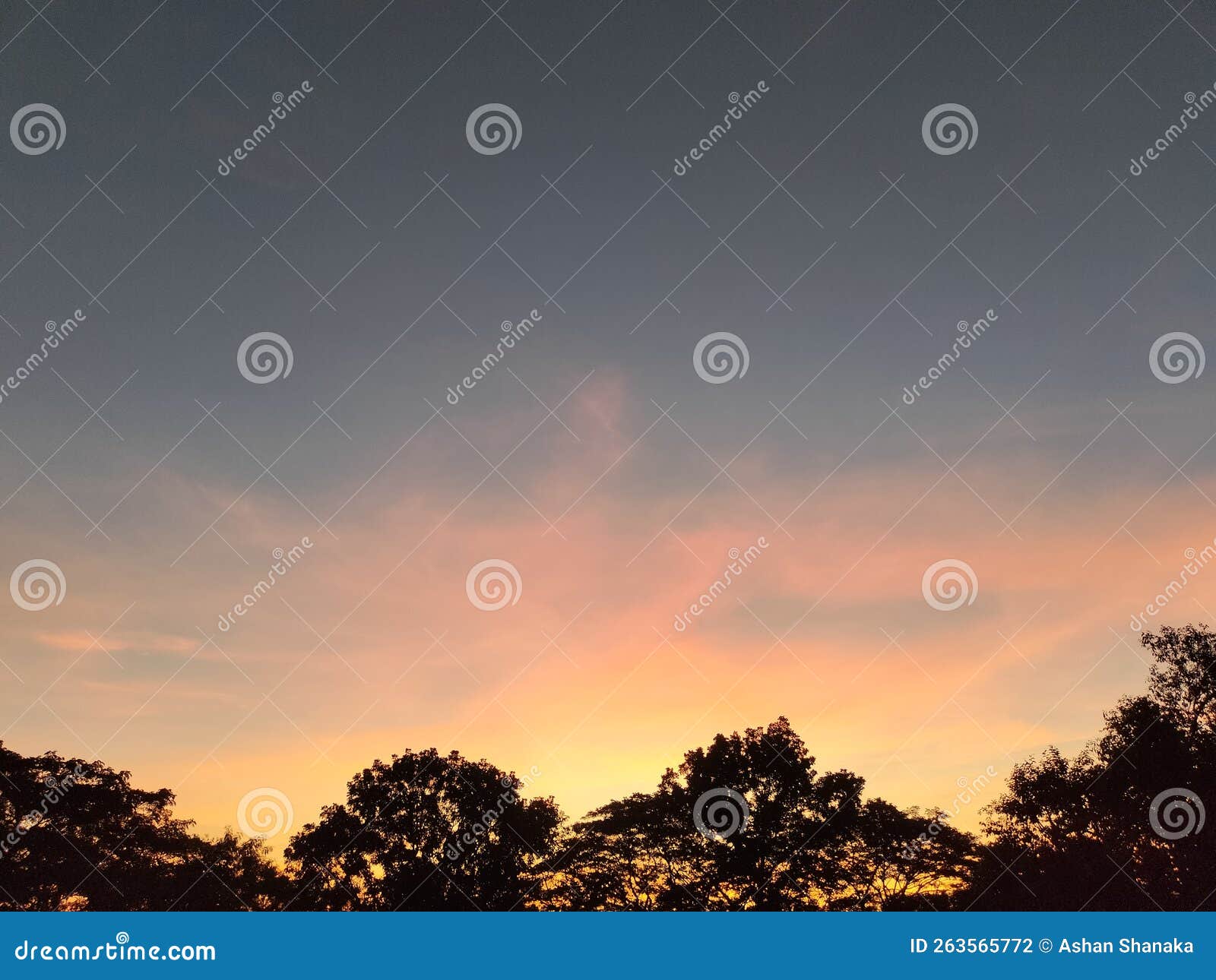 Morning Sun Rises, Beautiful Sky and Beautiful Trees Stock Photo ...