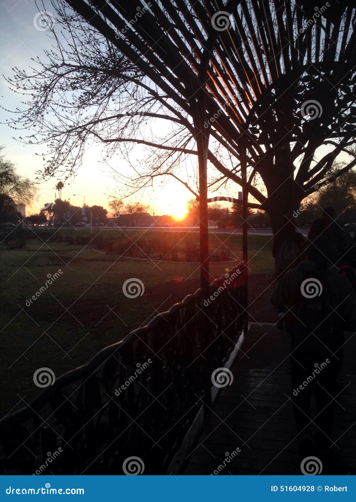 Morning sun rising editorial stock photo. Image of sunrise - 51604928