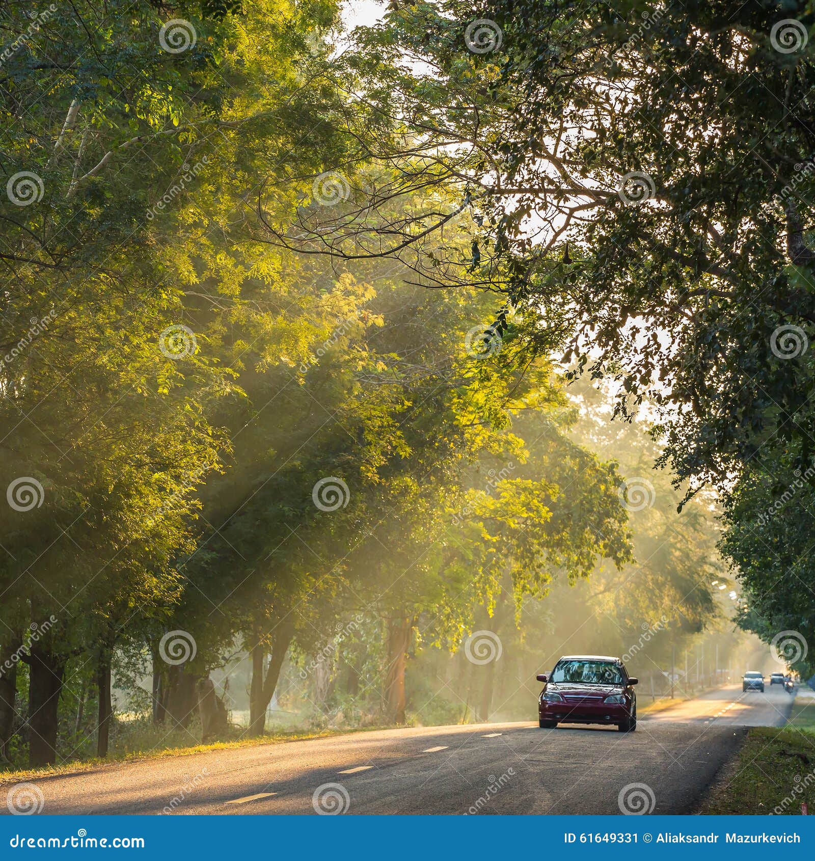 Morning Sun Shining on the Country Road Stock Image - Image of sunbeams ...