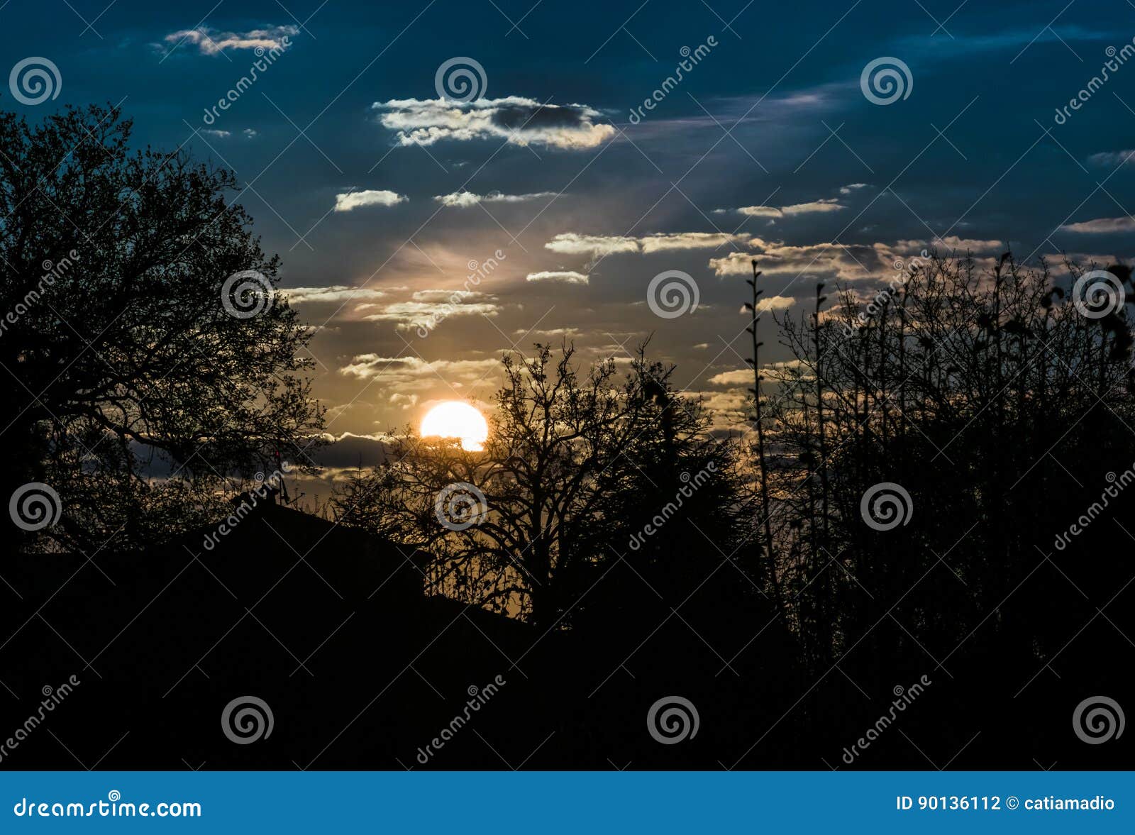 Morning Sun and Trees Silhouette Stock Photo - Image of silhouette ...