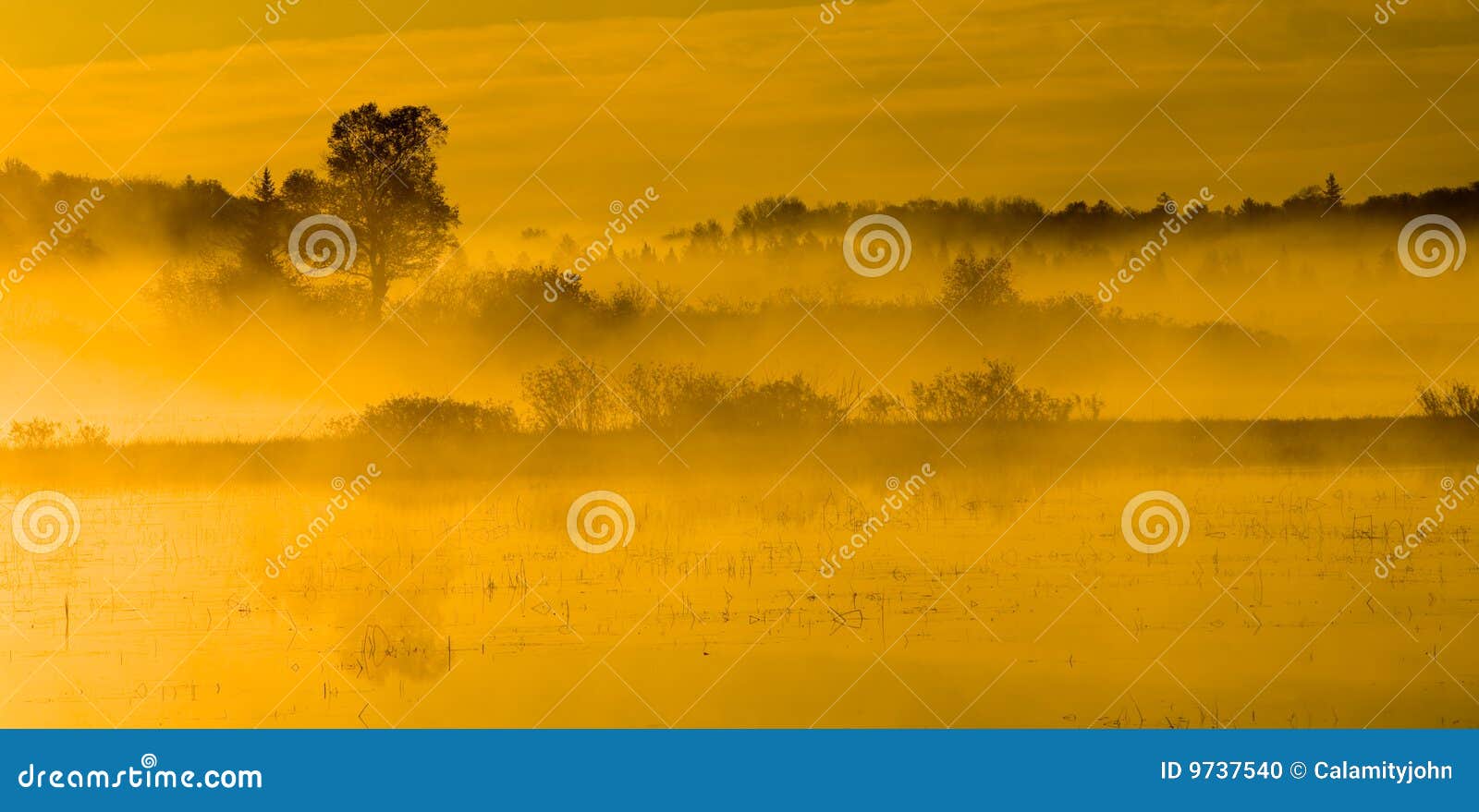 Morning Sunlight Bathes the Marsh Stock Photo - Image of beauty ...