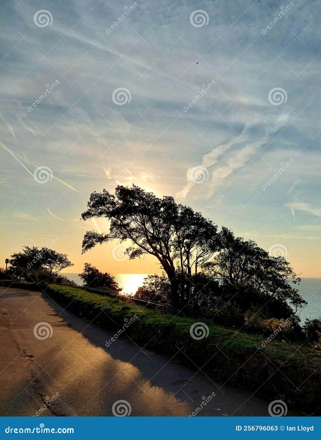 Morning Sunlight with Sea, Tree and Shadows Stock Image - Image of ...