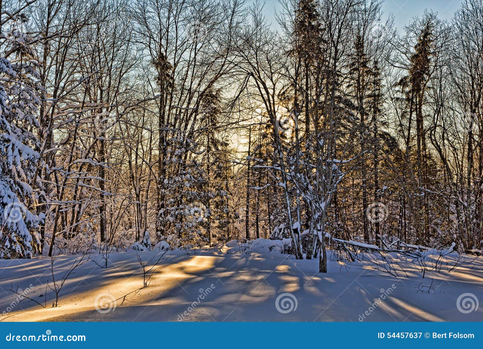 Morning Sunlight Streaming through Forest Onto Snow Stock Image - Image ...